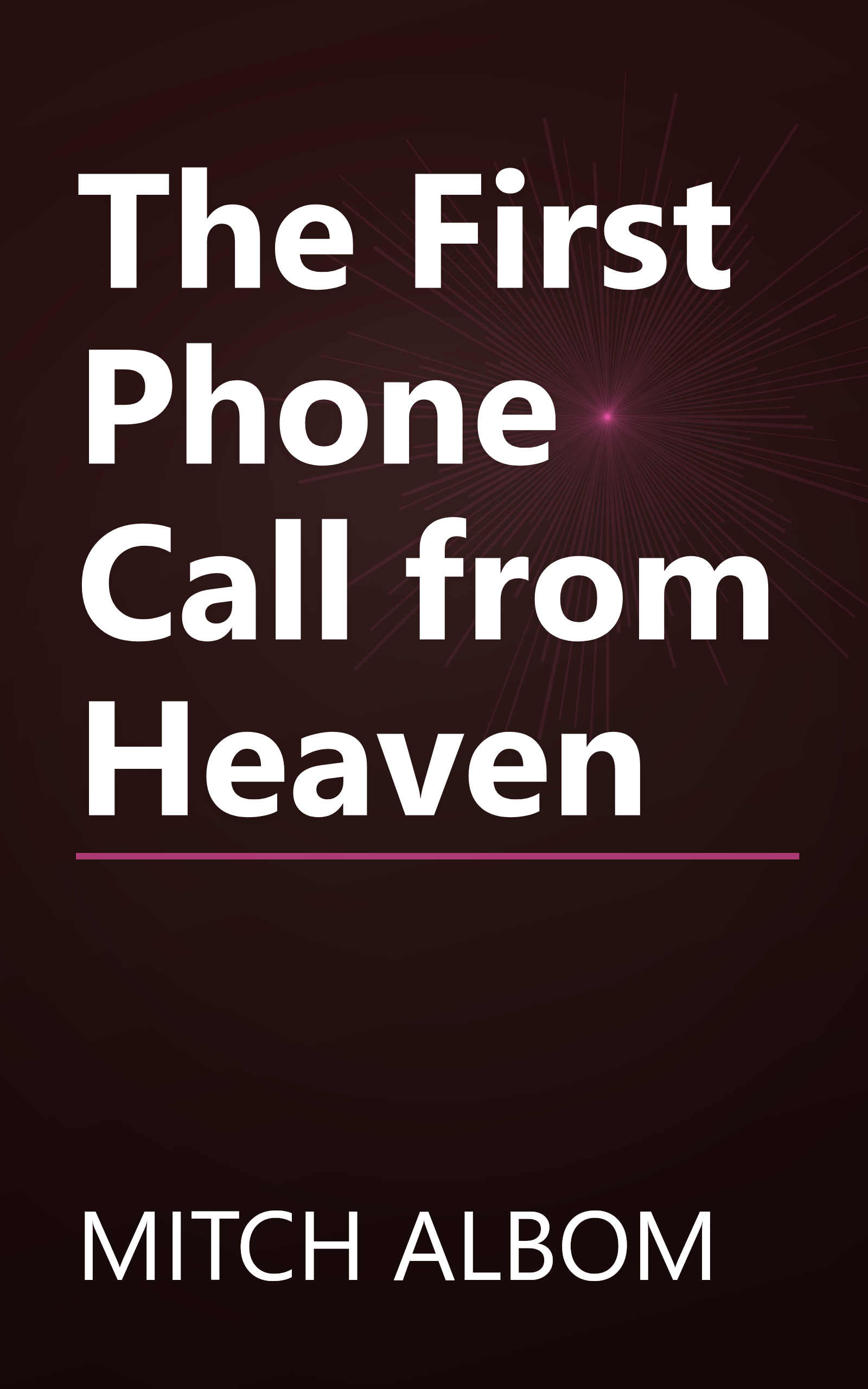 The First Phone Call from Heaven book cover