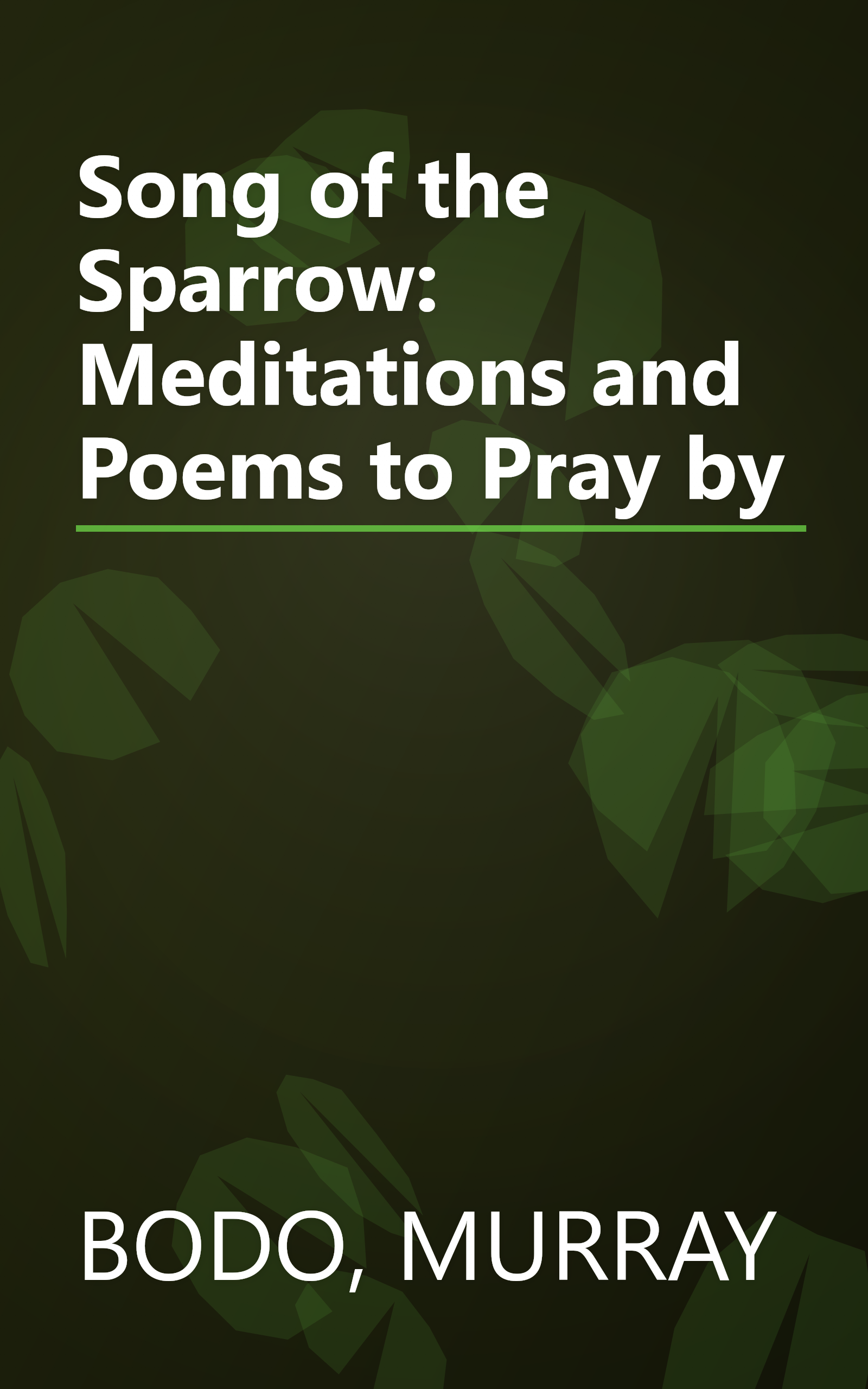 Song of the Sparrow: Meditations and Poems to Pray by book cover