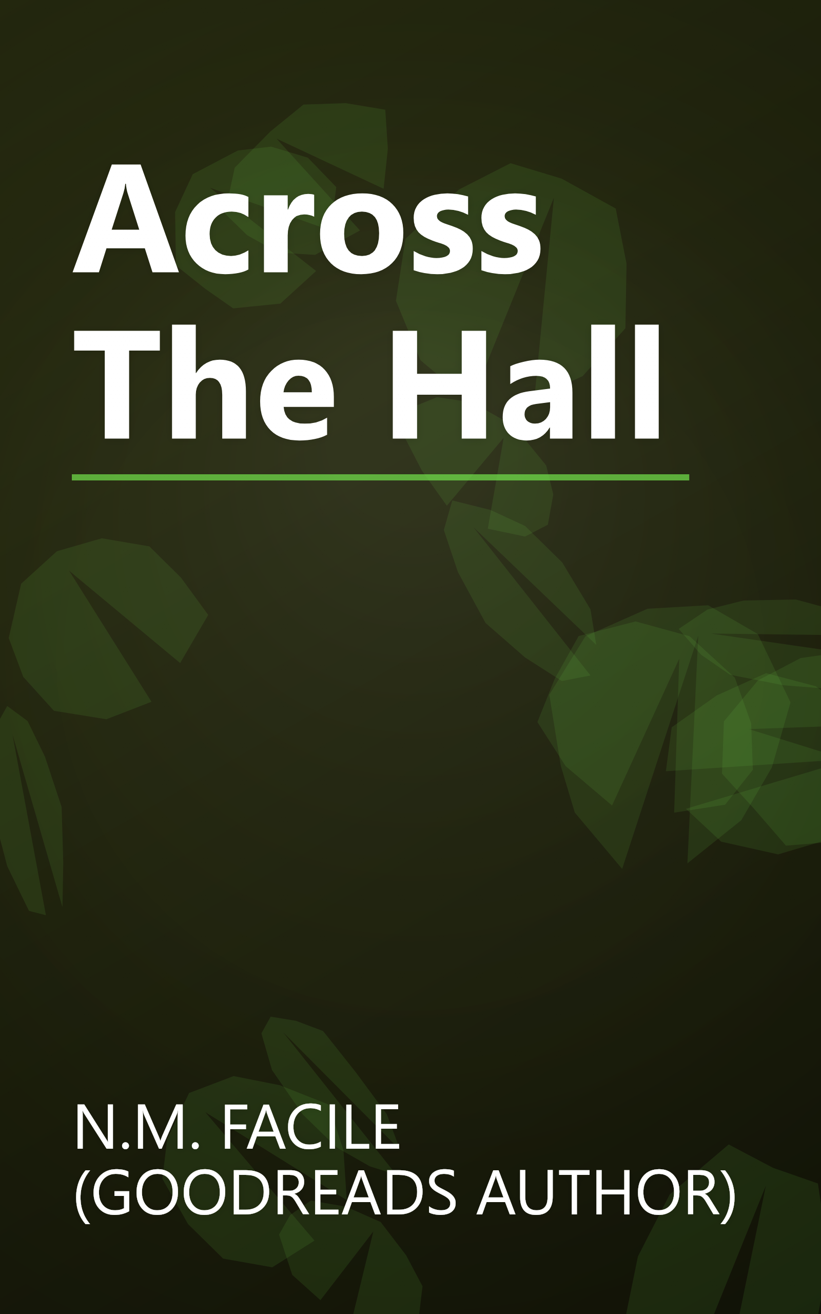 Across The Hall book cover