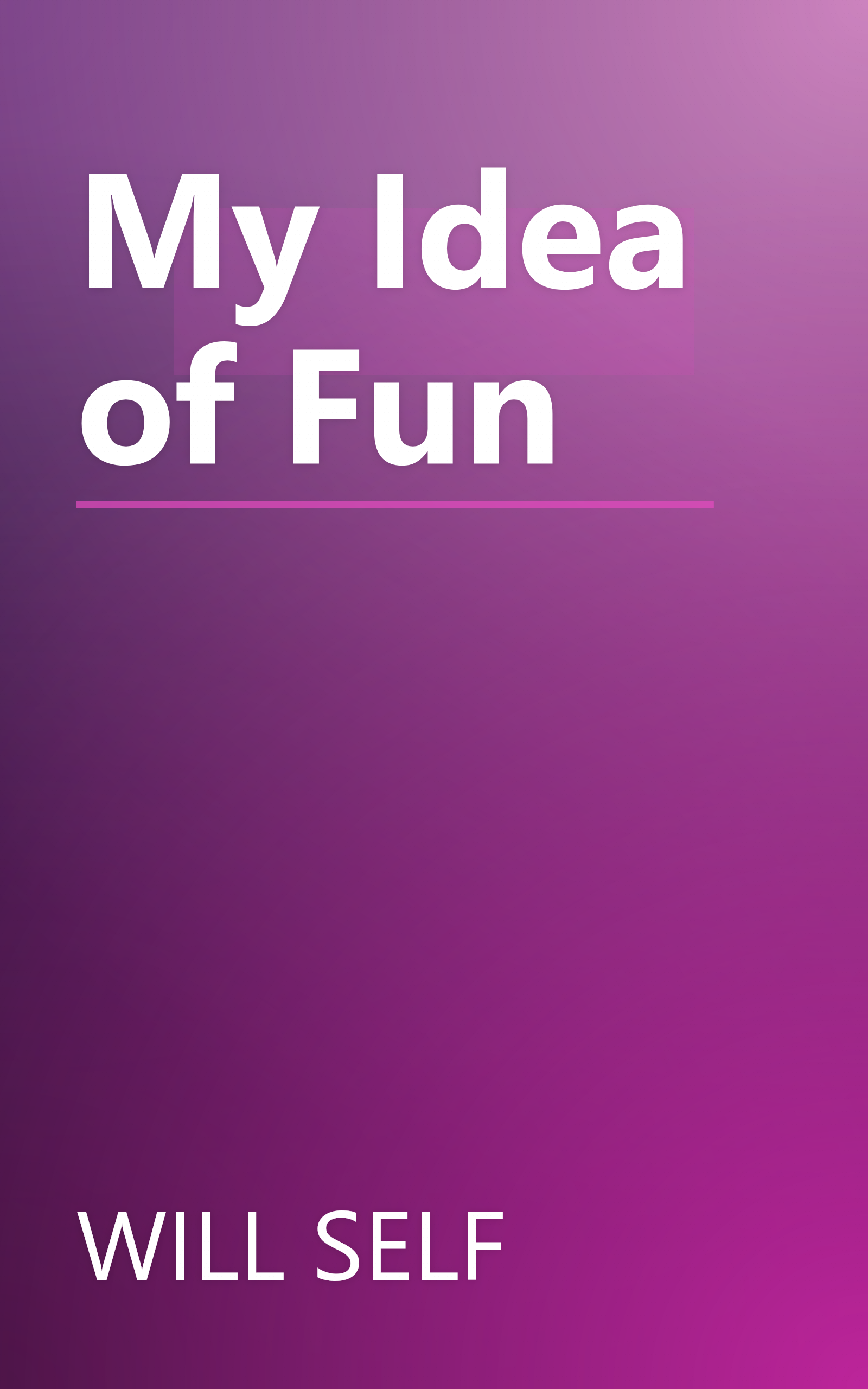My Idea of Fun book cover