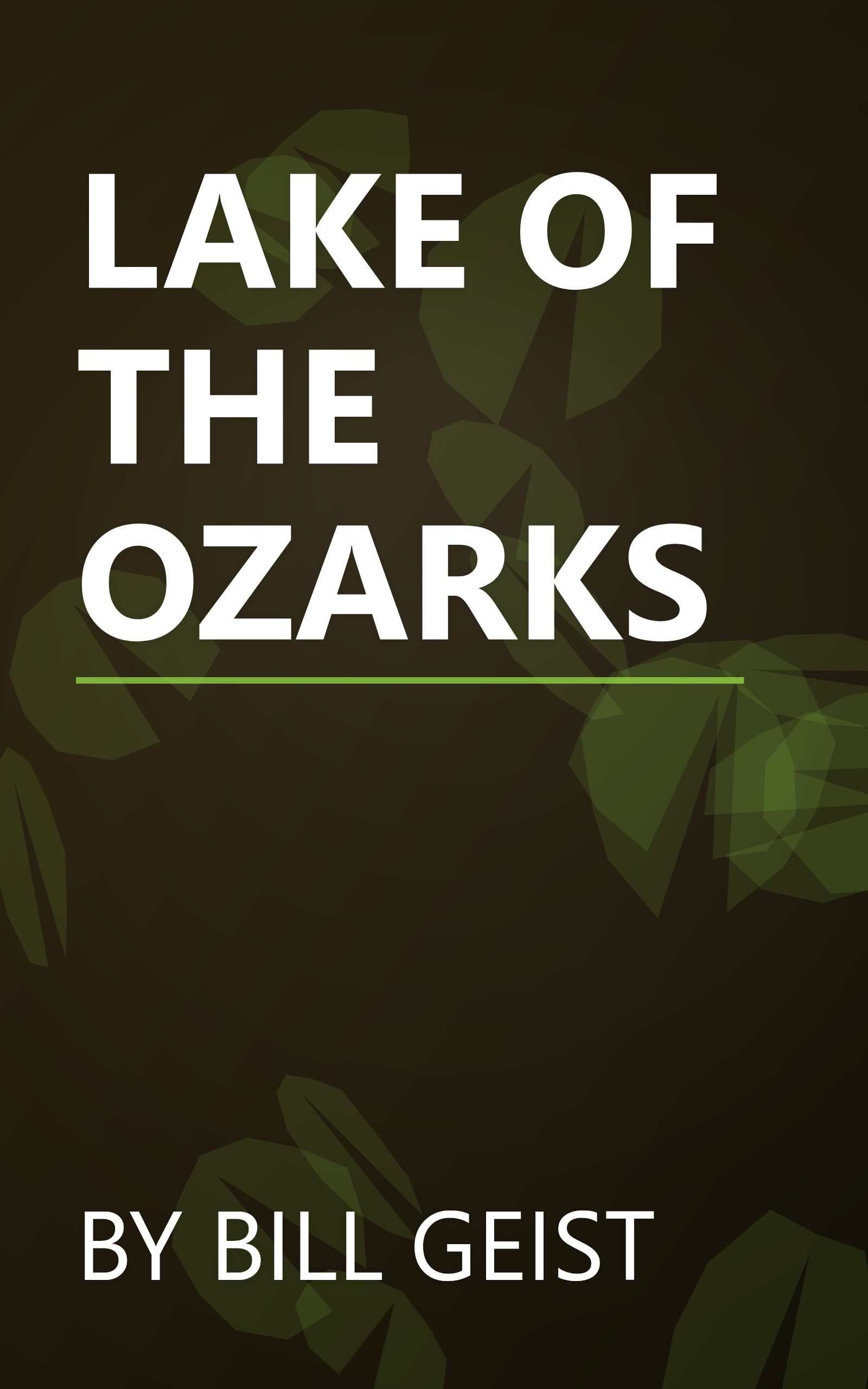 LAKE OF THE OZARKS book cover