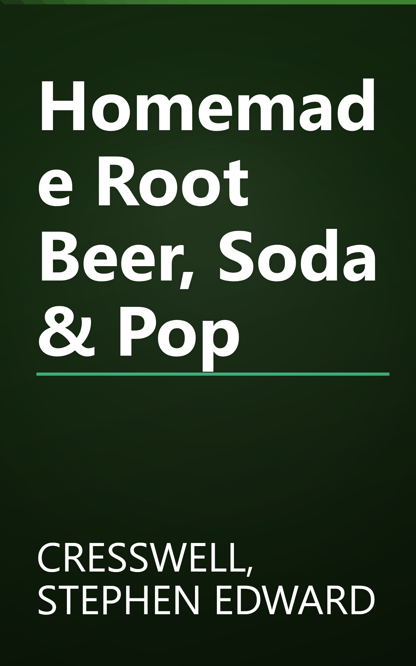 Homemade Root Beer, Soda & Pop book cover