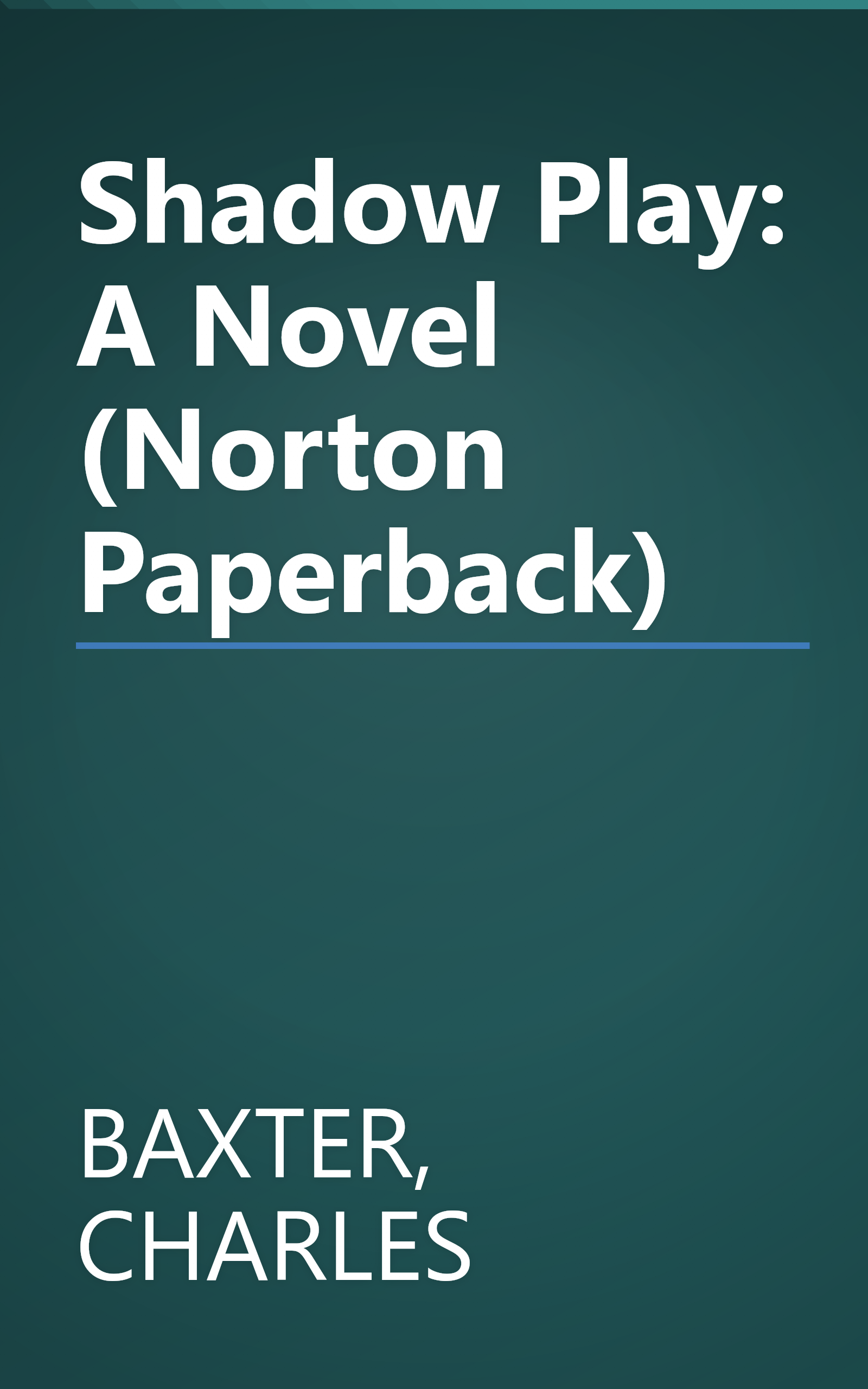 Shadow Play: A Novel (Norton Paperback) book cover