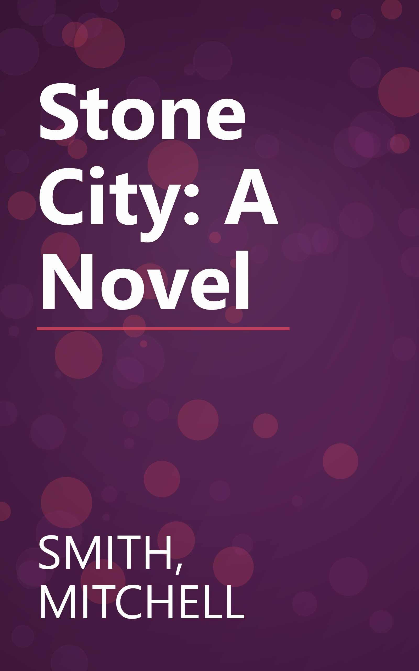 Stone City: A Novel book cover