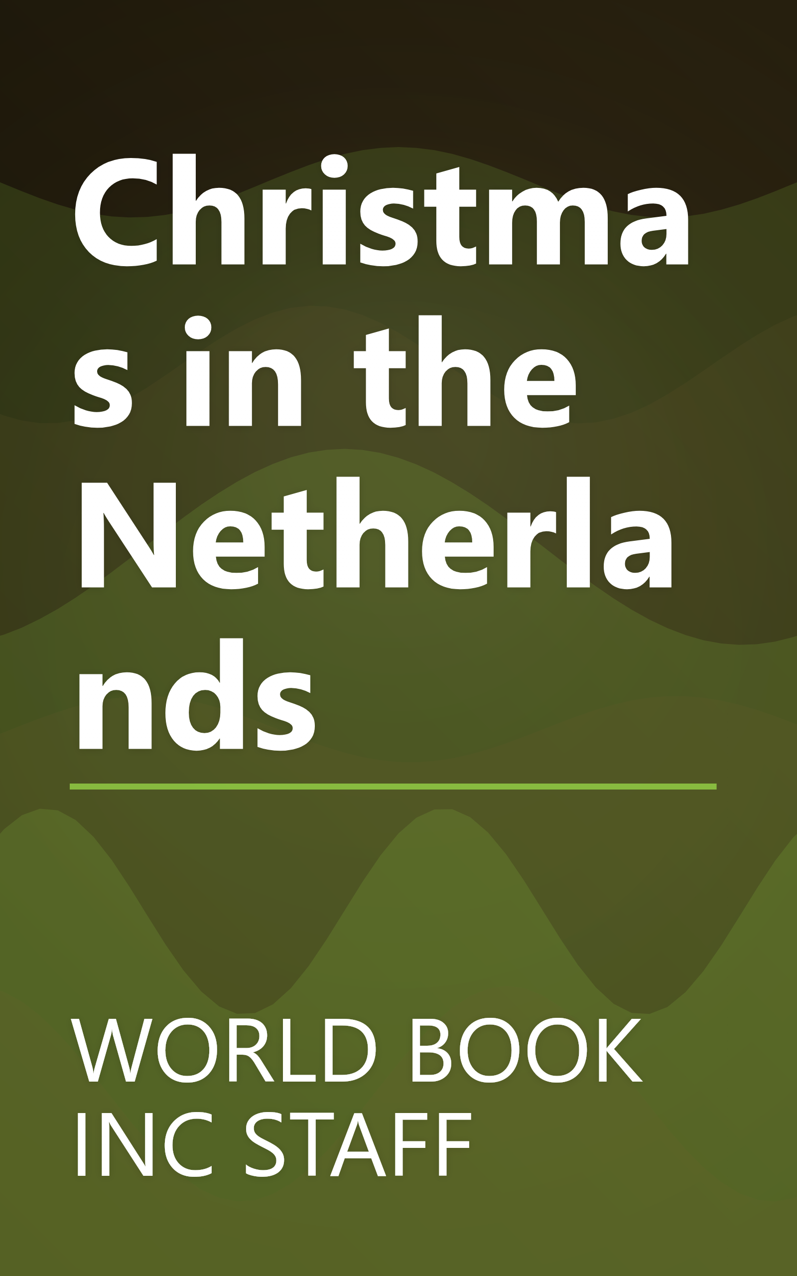Christmas in the Netherlands book cover