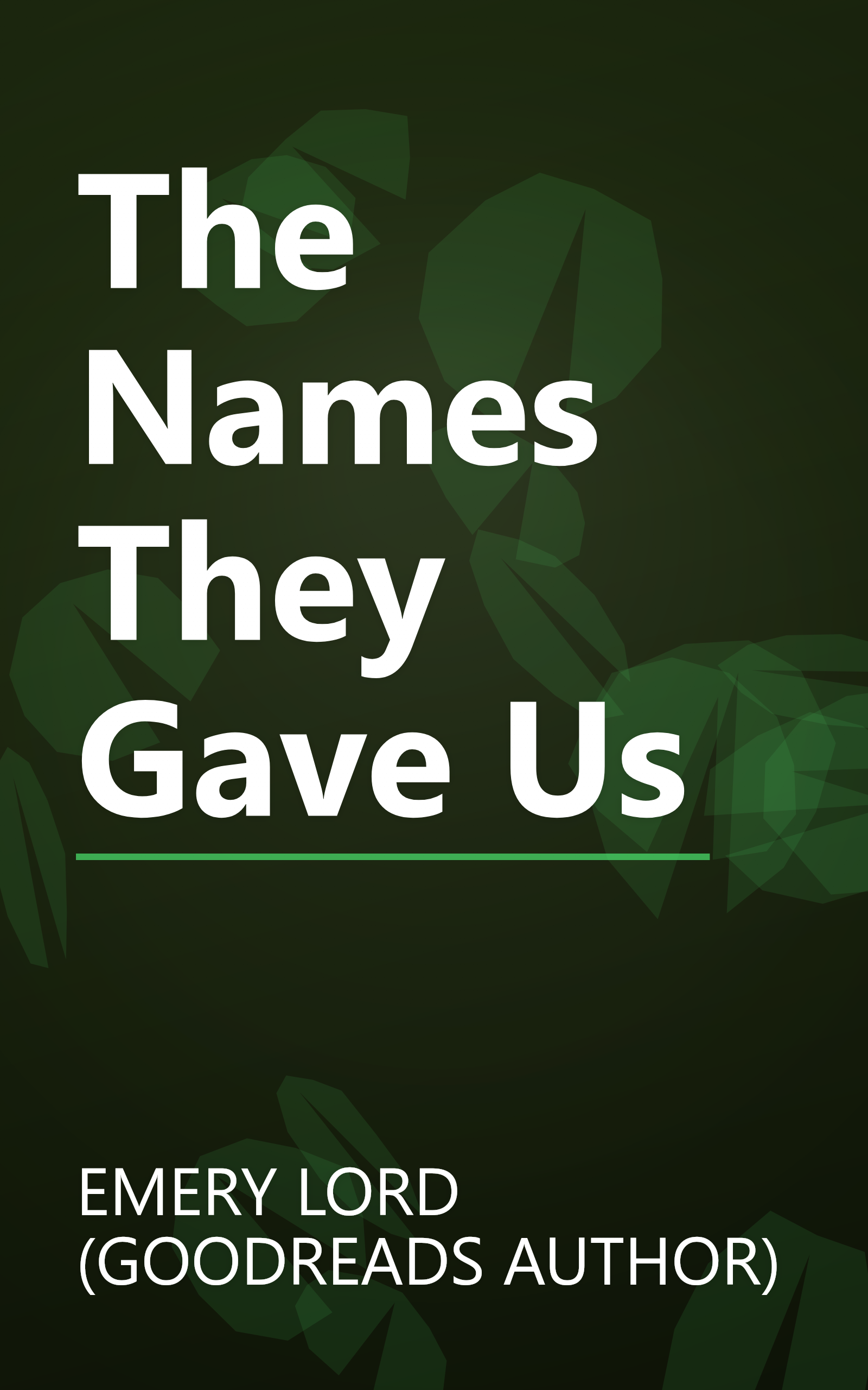 The Names They Gave Us book cover