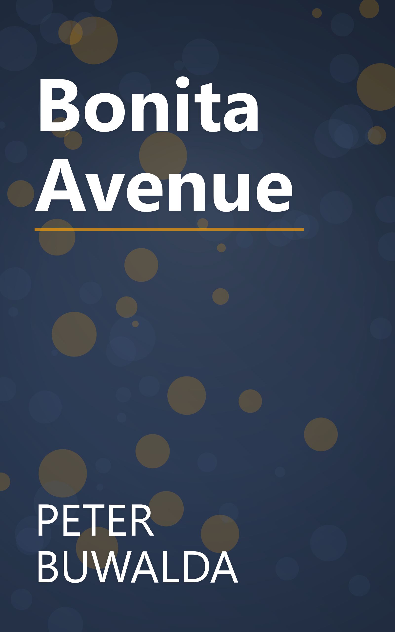 Bonita Avenue book cover