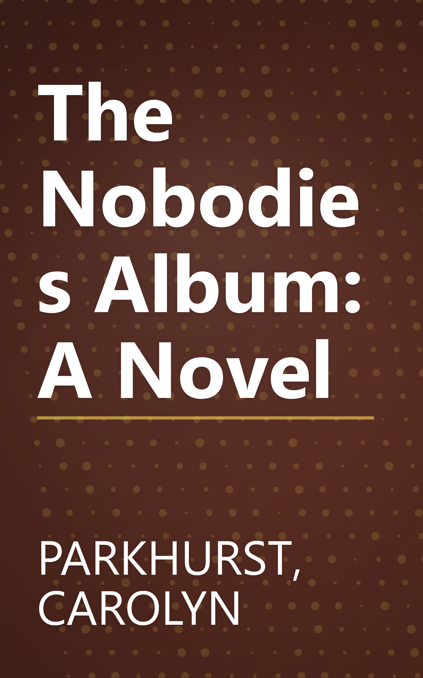 The Nobodies Album: A Novel book cover
