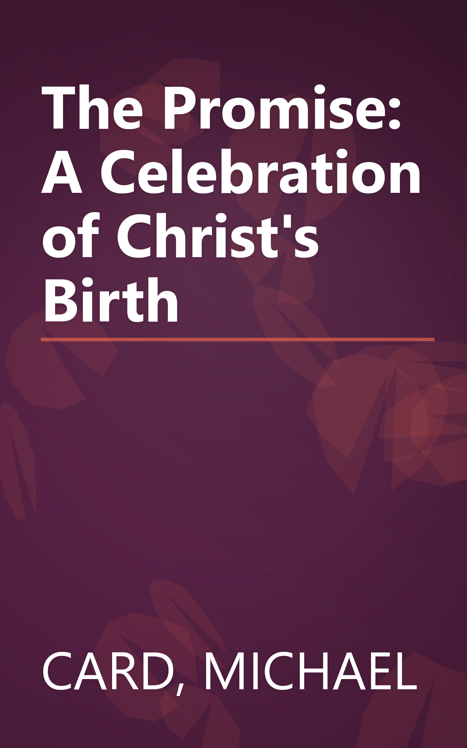 The Promise: A Celebration of Christ's Birth book cover