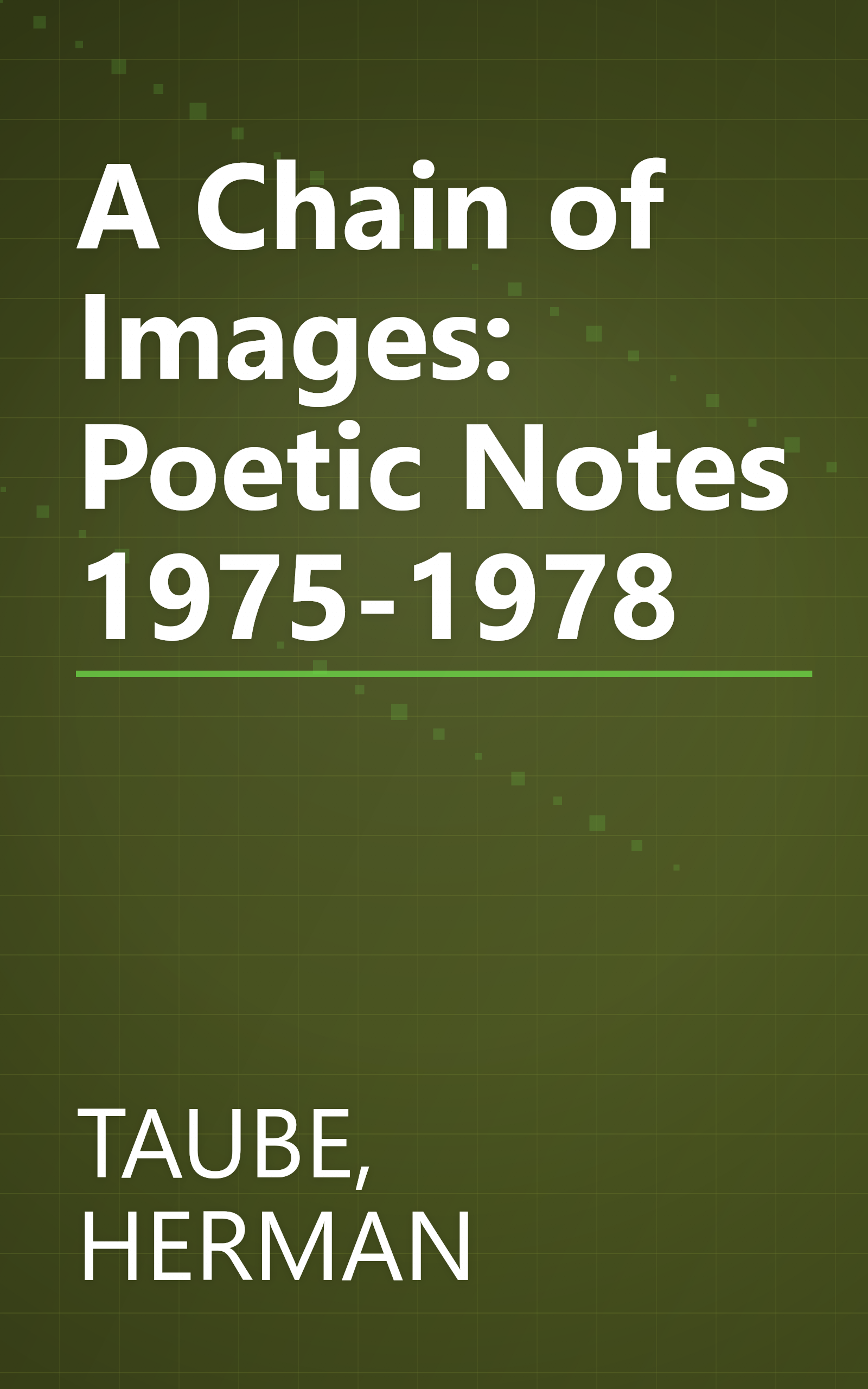 A Chain of Images: Poetic Notes 1975-1978 book cover