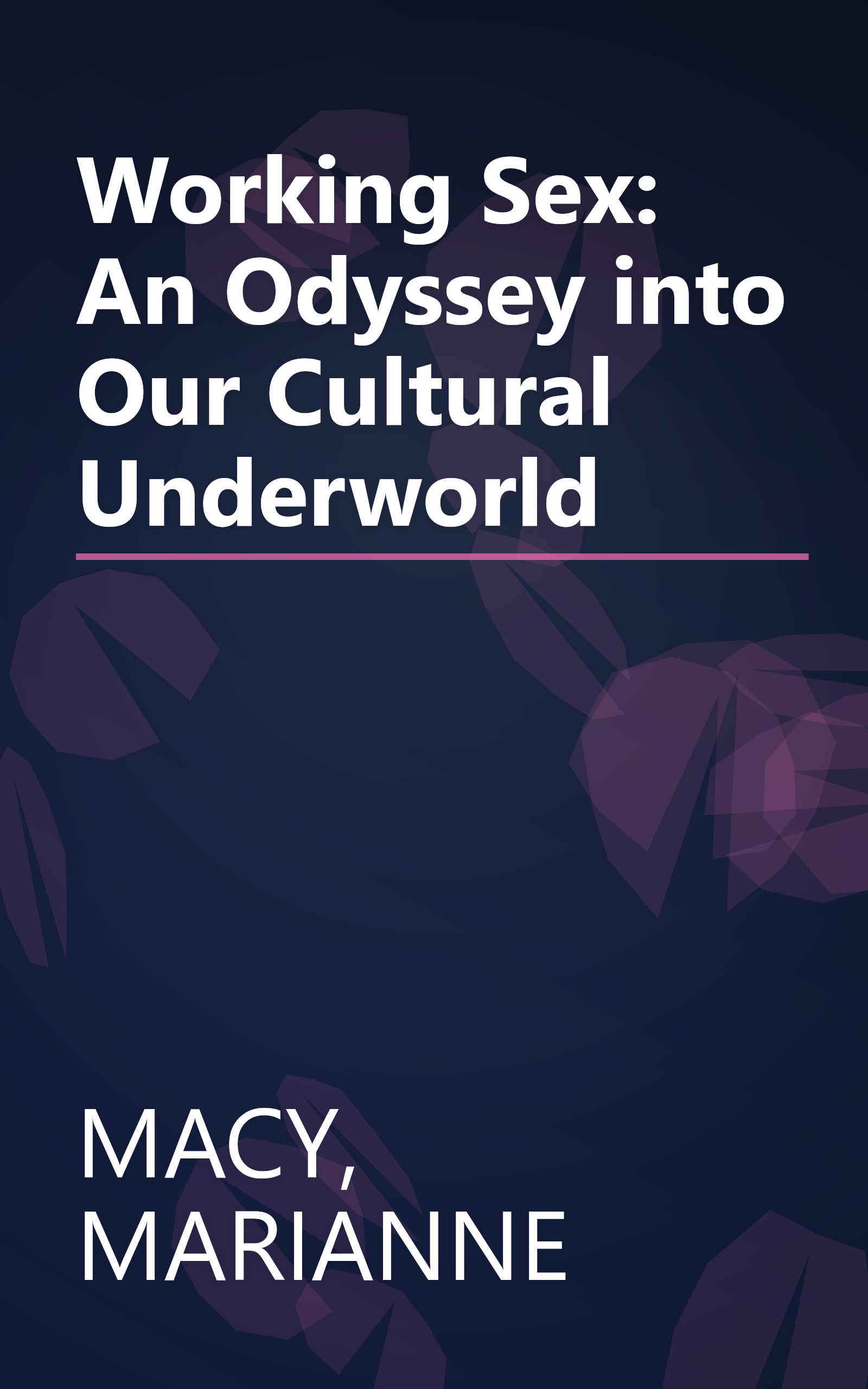 Working Sex: An Odyssey into Our Cultural Underworld book cover