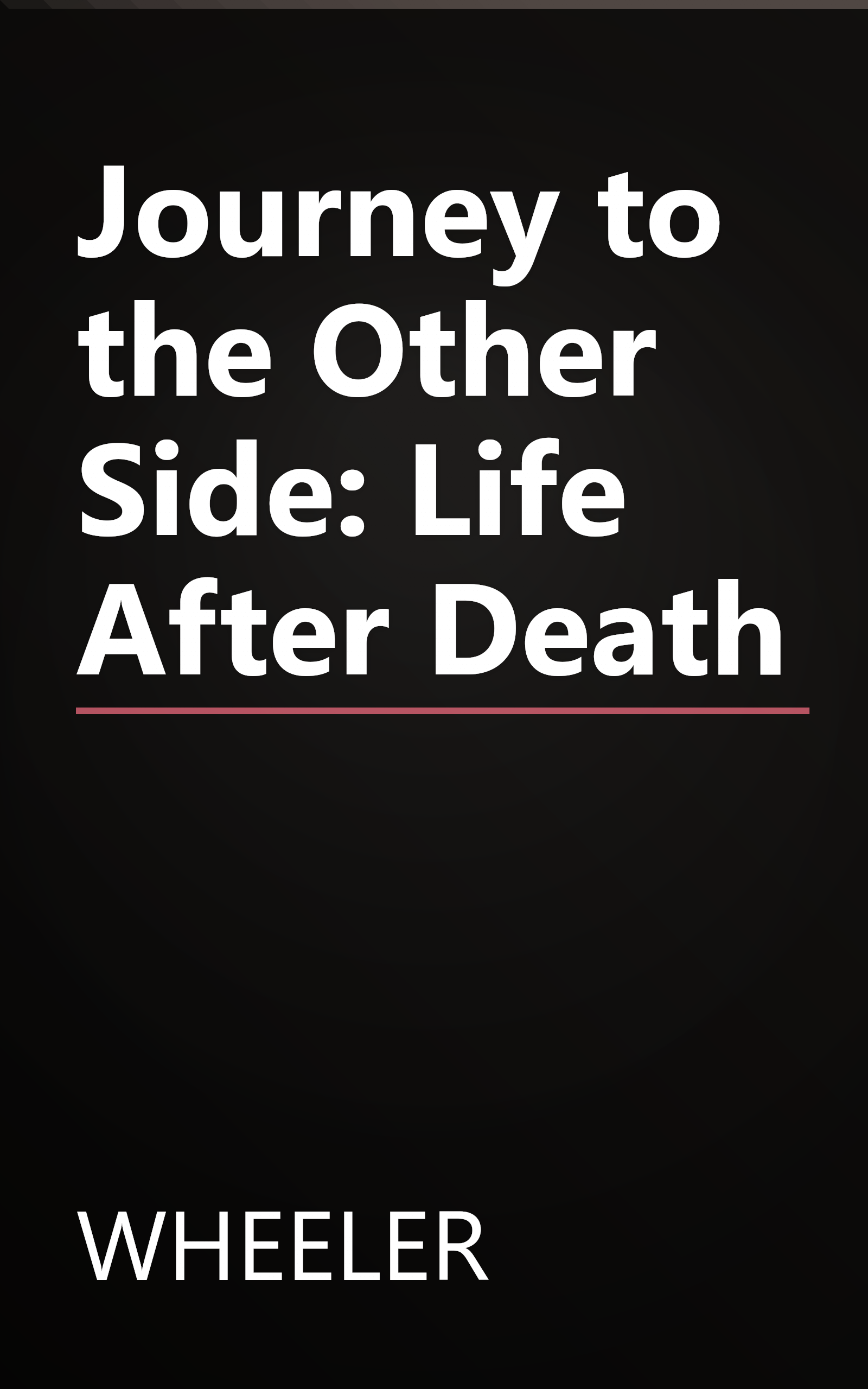 Journey to the Other Side: Life After Death book cover