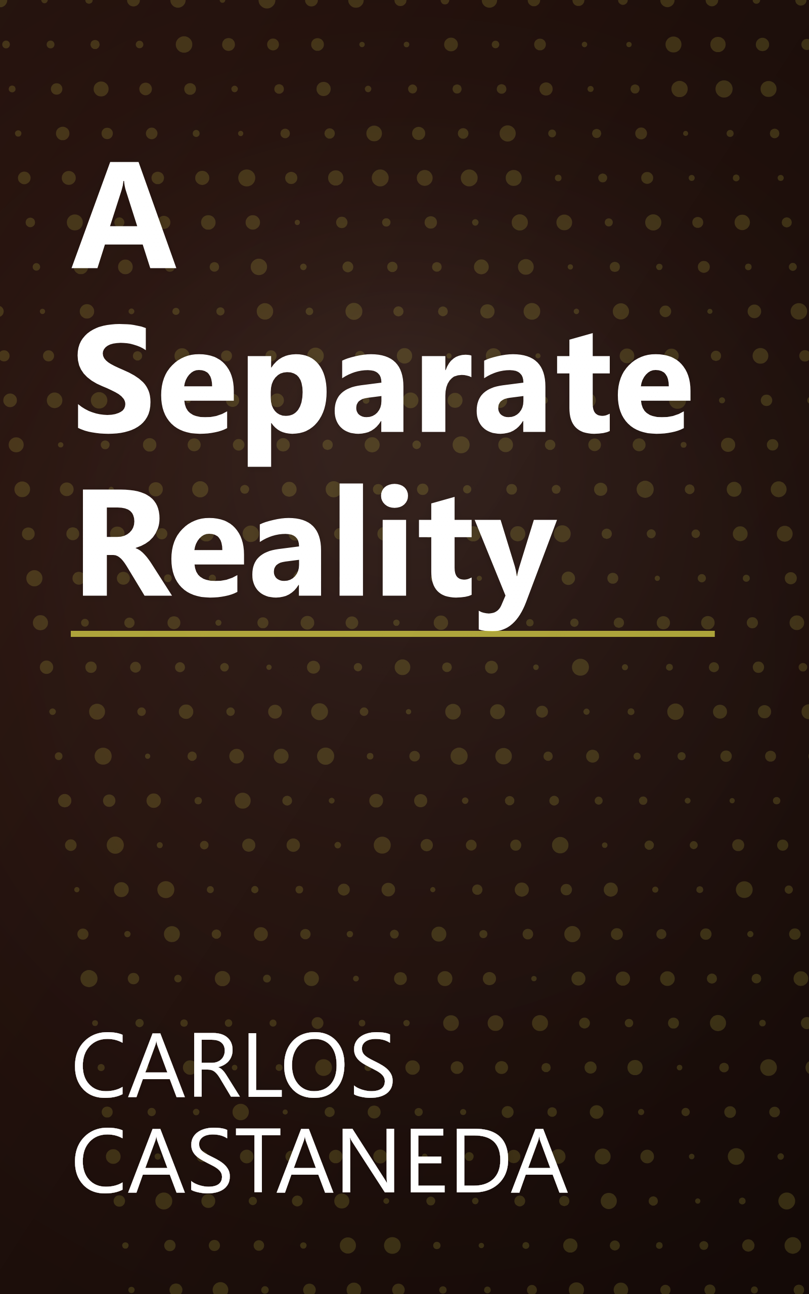 A Separate Reality book cover