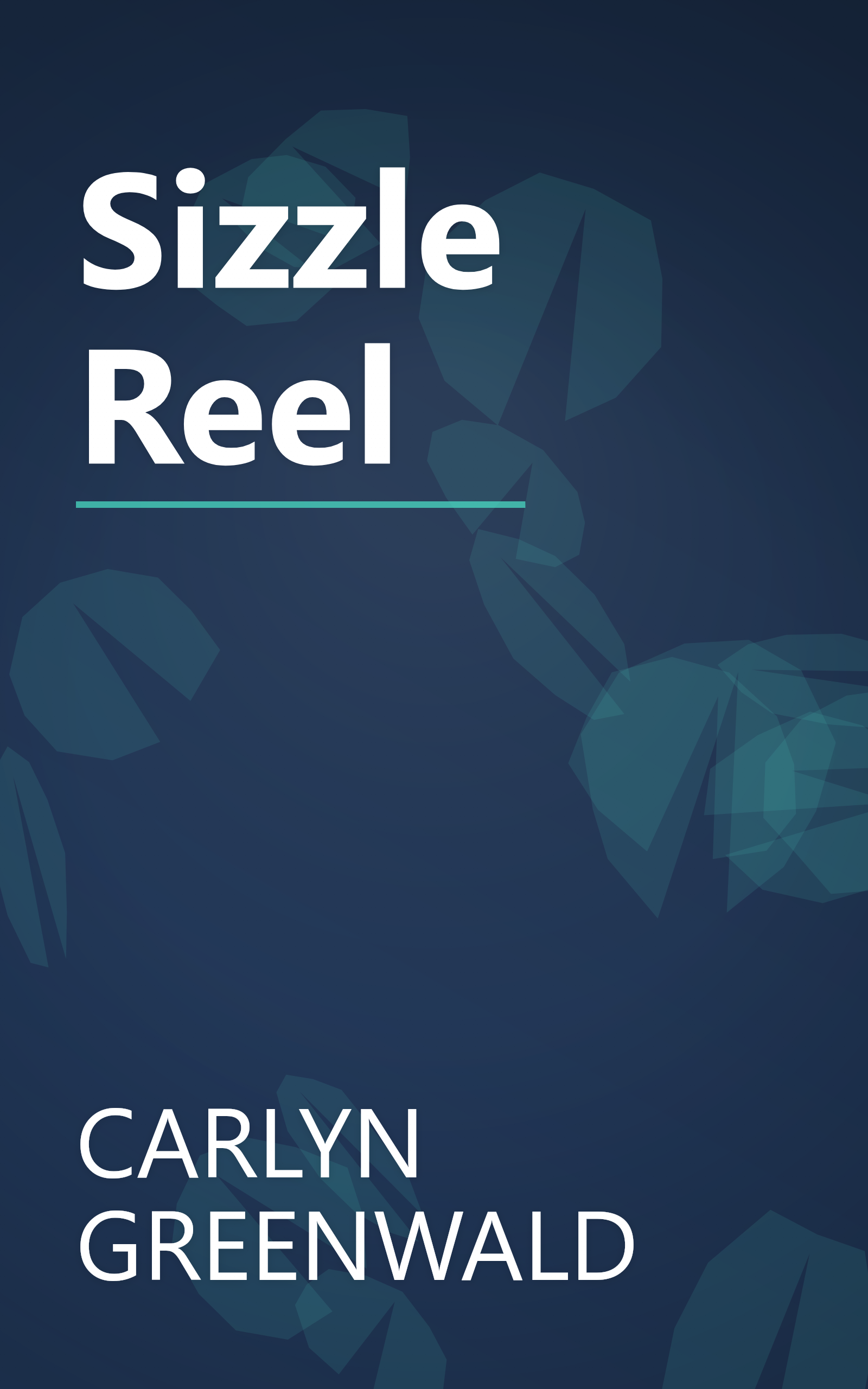 Sizzle Reel book cover