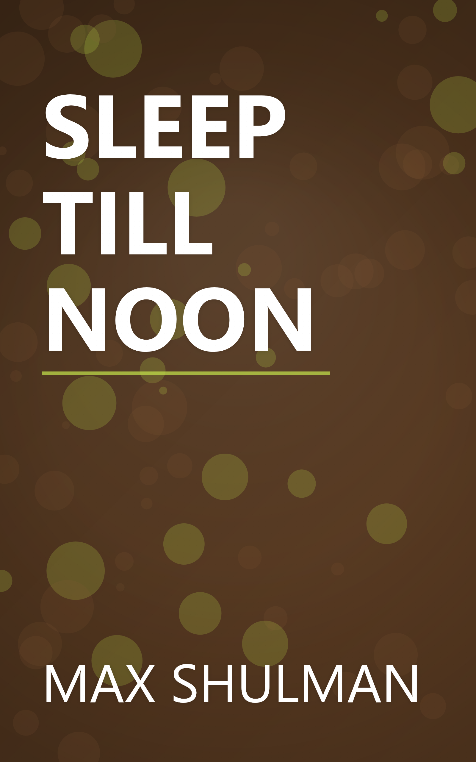 SLEEP TILL NOON book cover