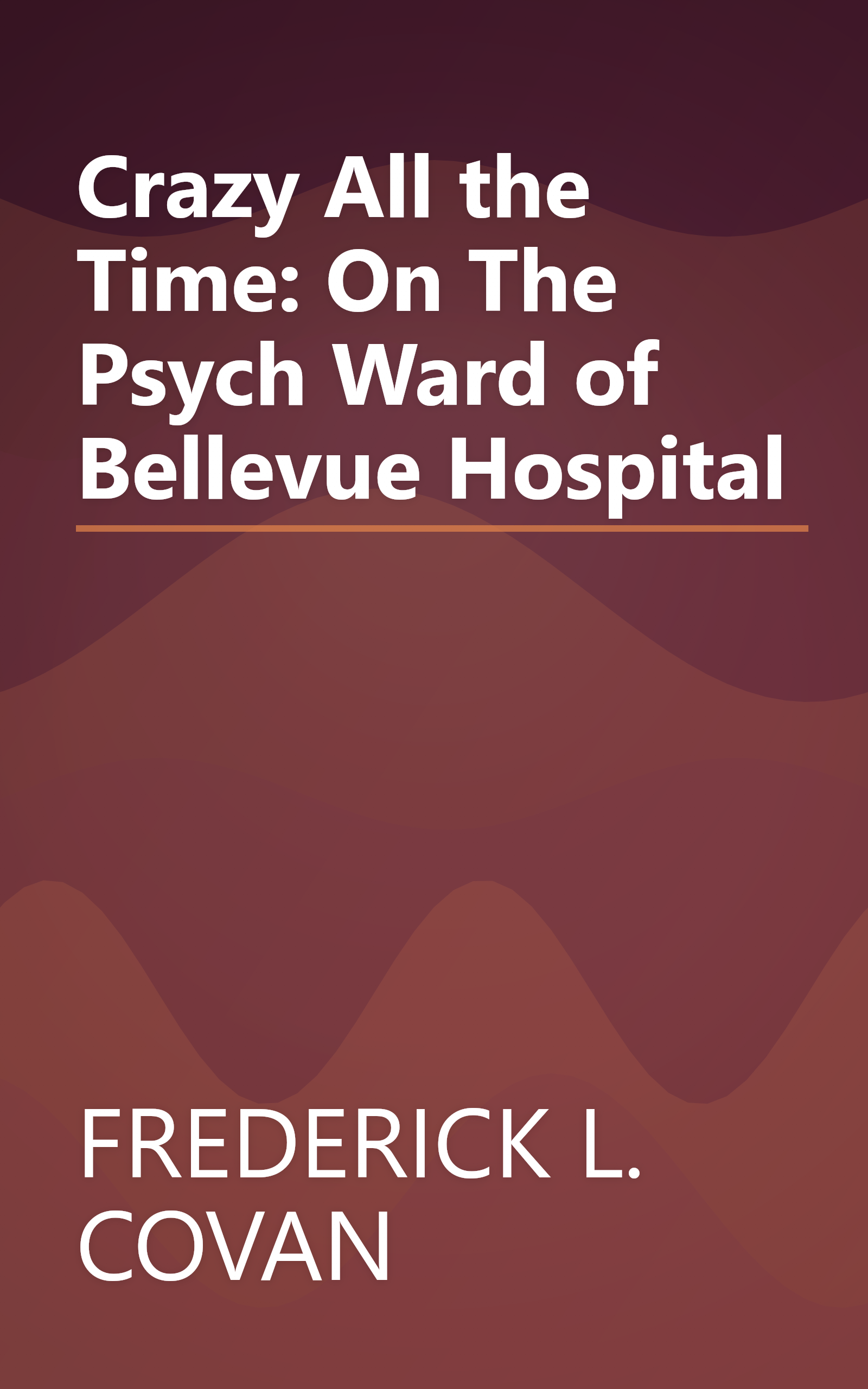 Crazy All the Time: On The Psych Ward of Bellevue Hospital book cover