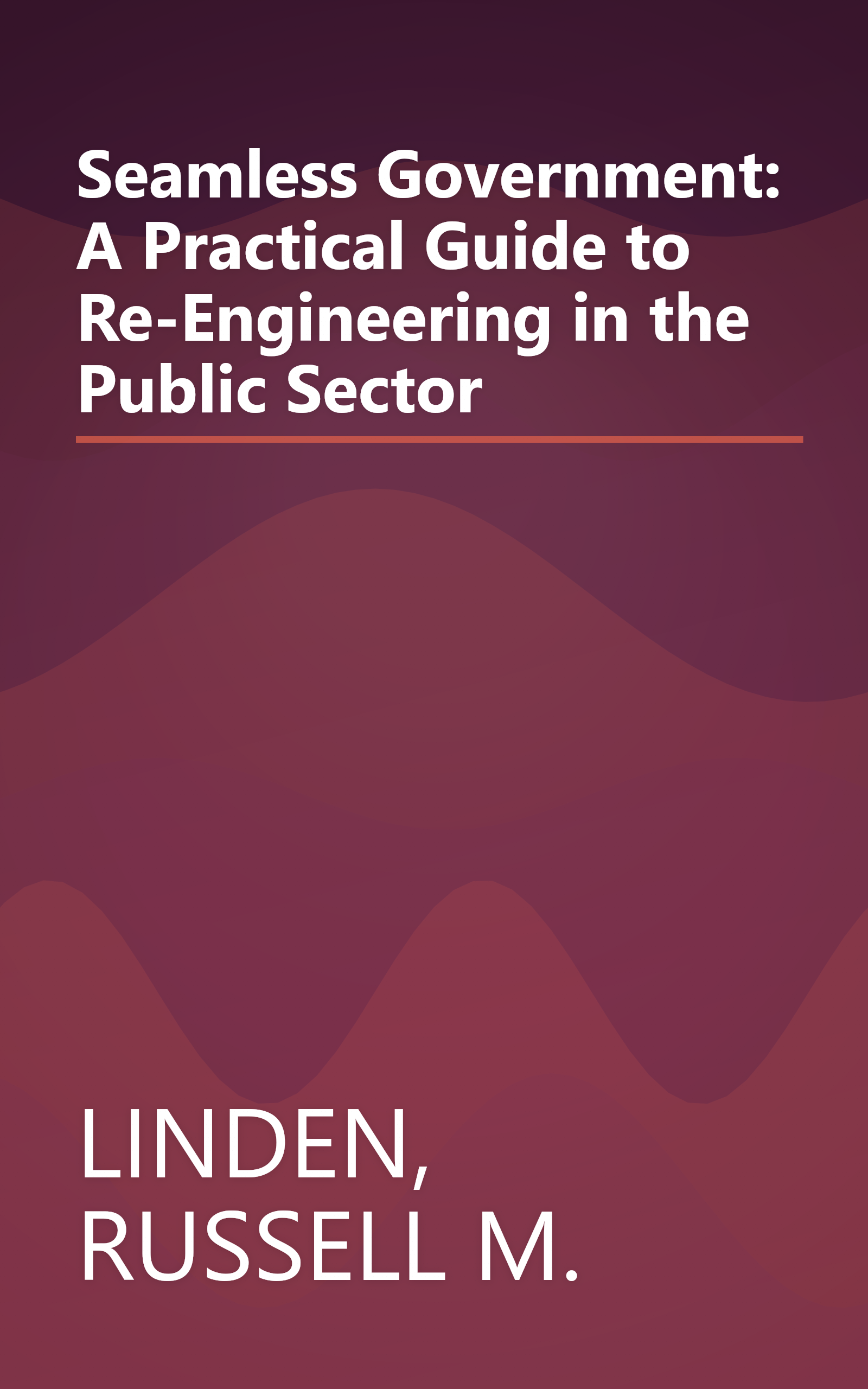 Seamless Government: A Practical Guide to Re-Engineering in the Public Sector book cover