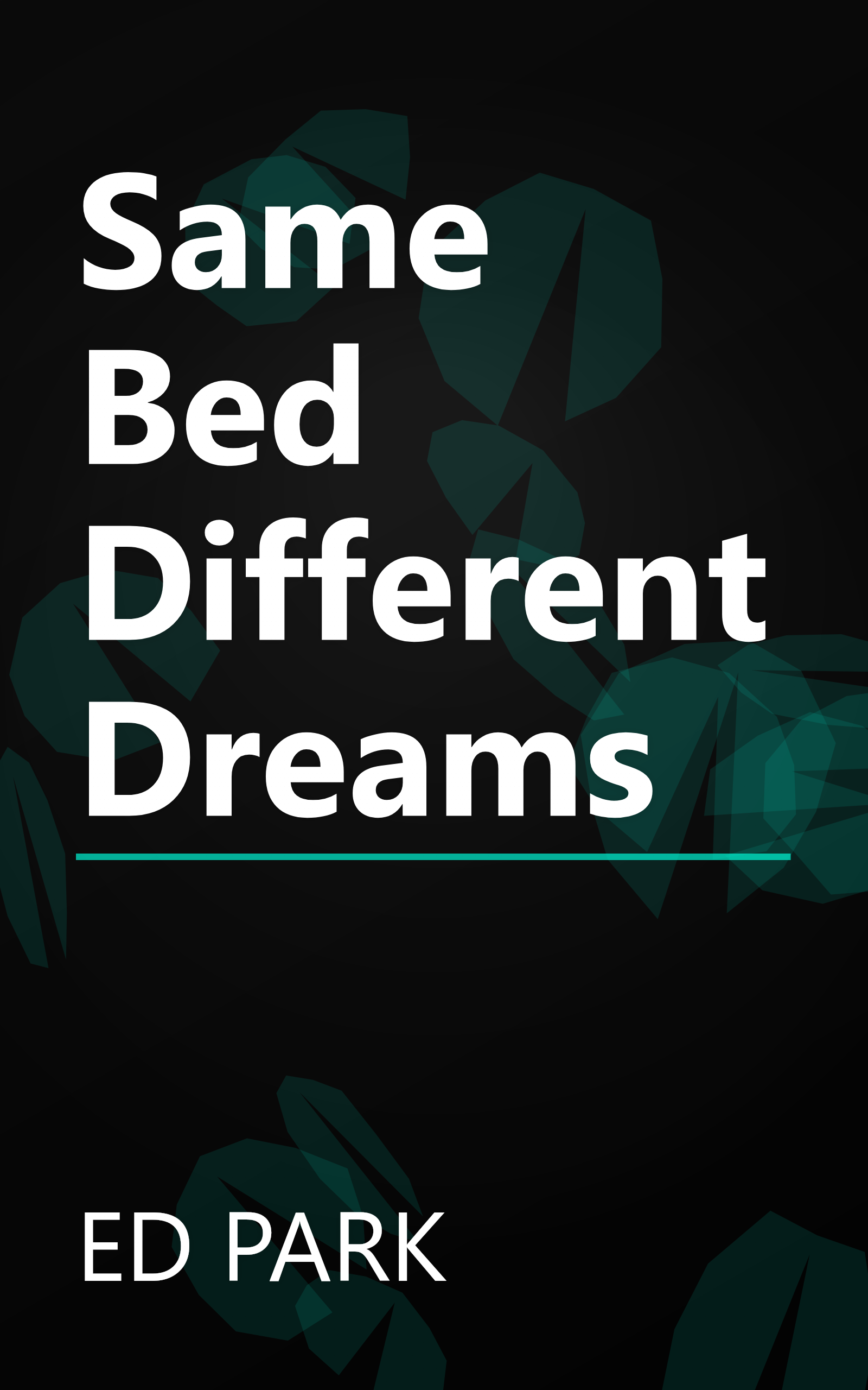 Same Bed Different Dreams book cover