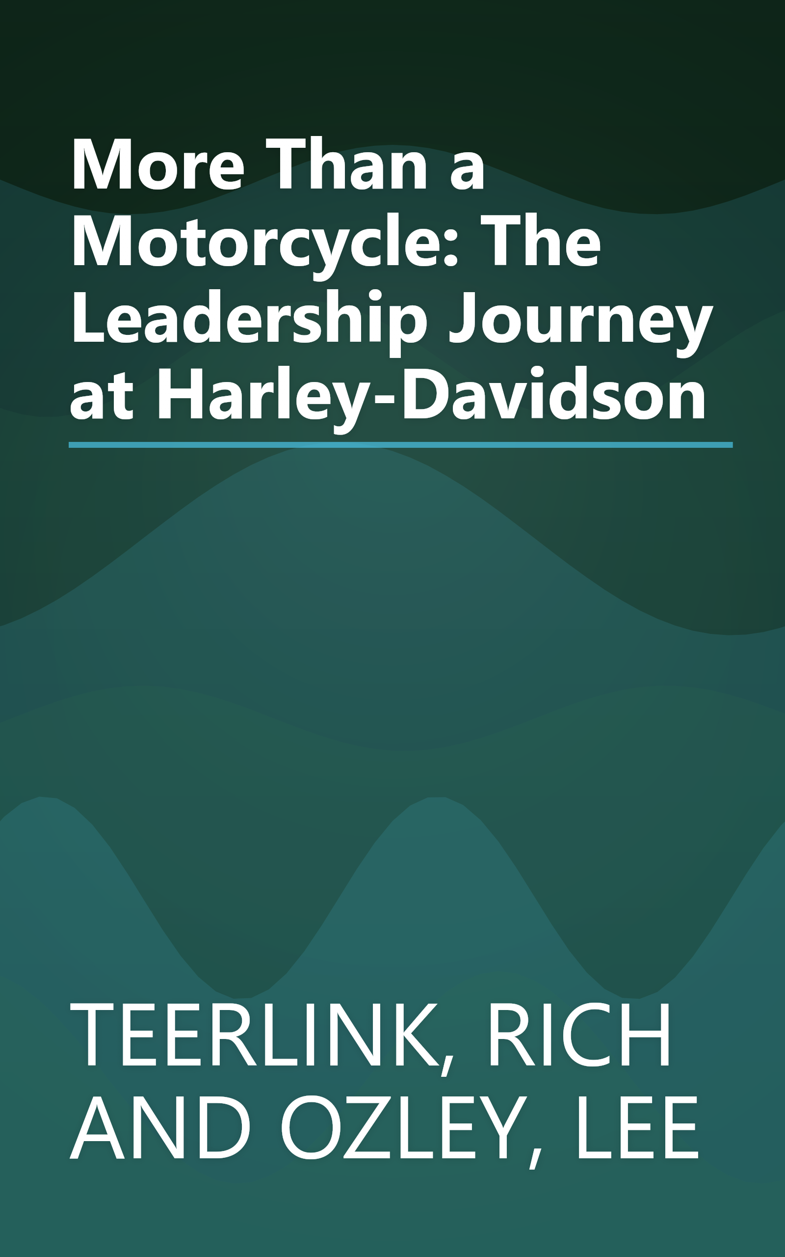 More Than a Motorcycle: The Leadership Journey at Harley-Davidson book cover