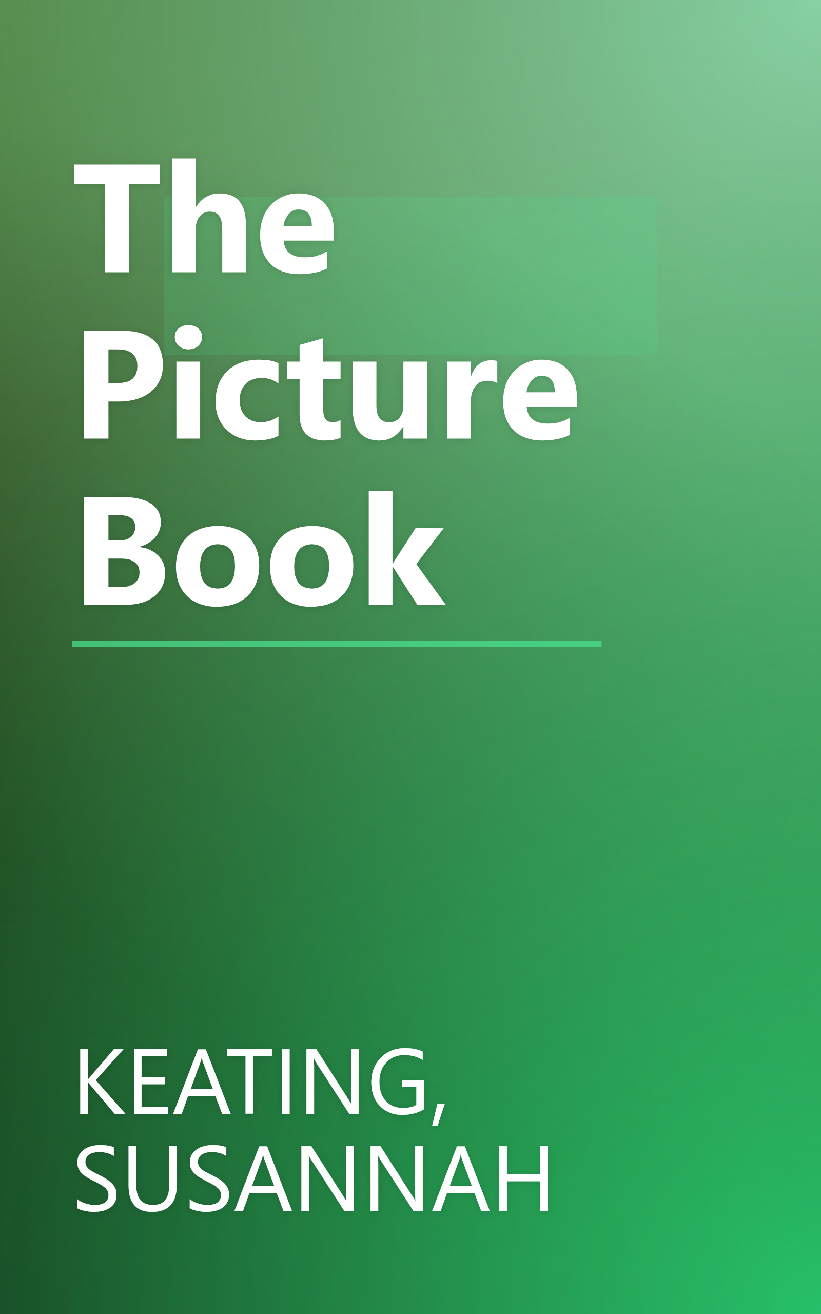 The Picture Book book cover