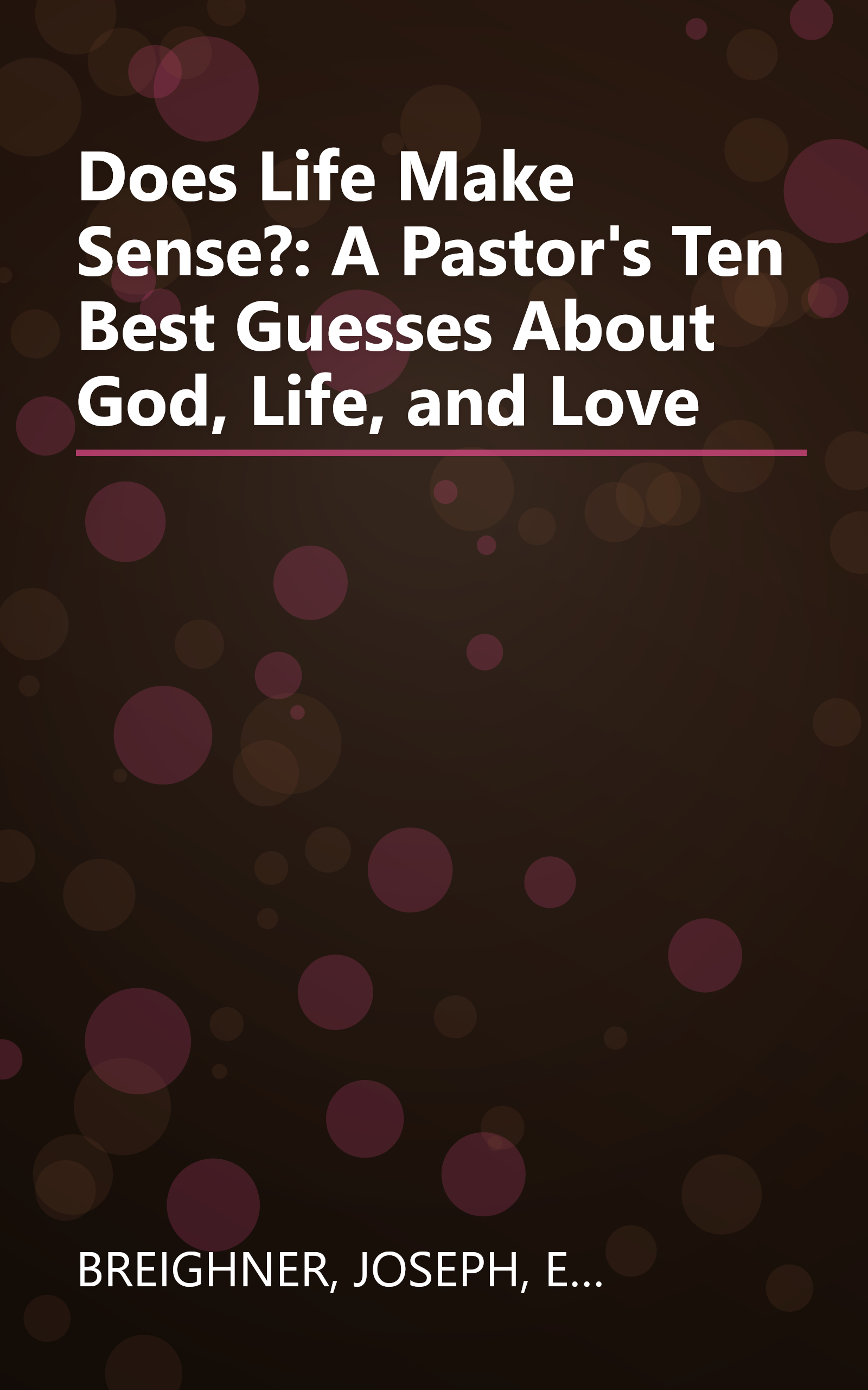 Does Life Make Sense?: A Pastor's Ten Best Guesses About God, Life, and Love book cover