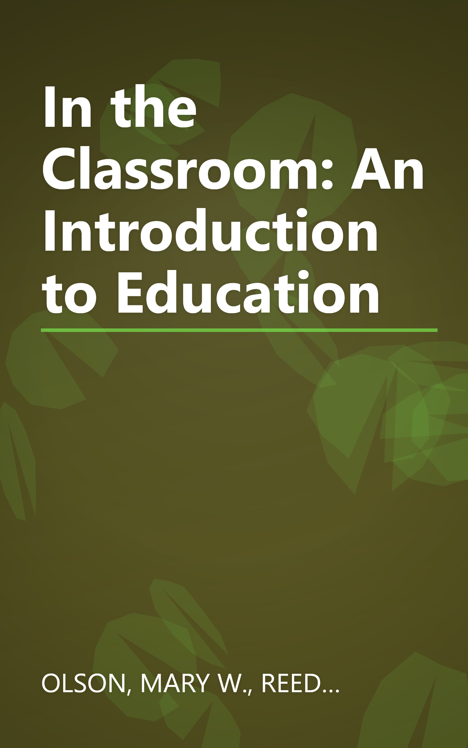 In the Classroom: An Introduction to Education book cover