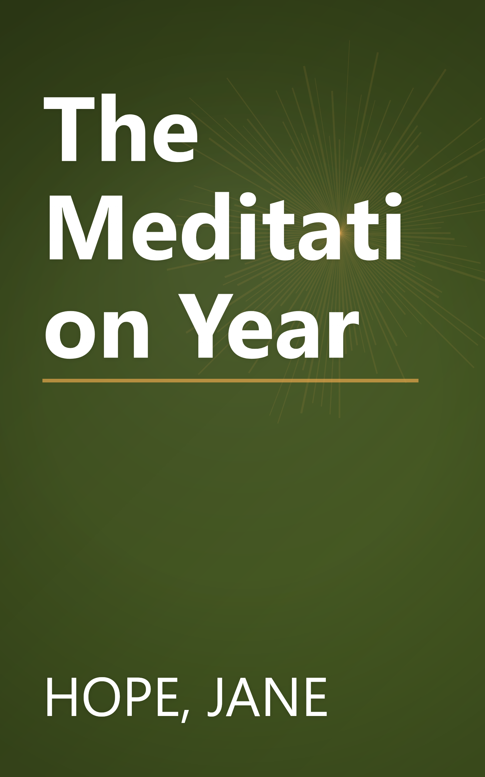 The Meditation Year book cover