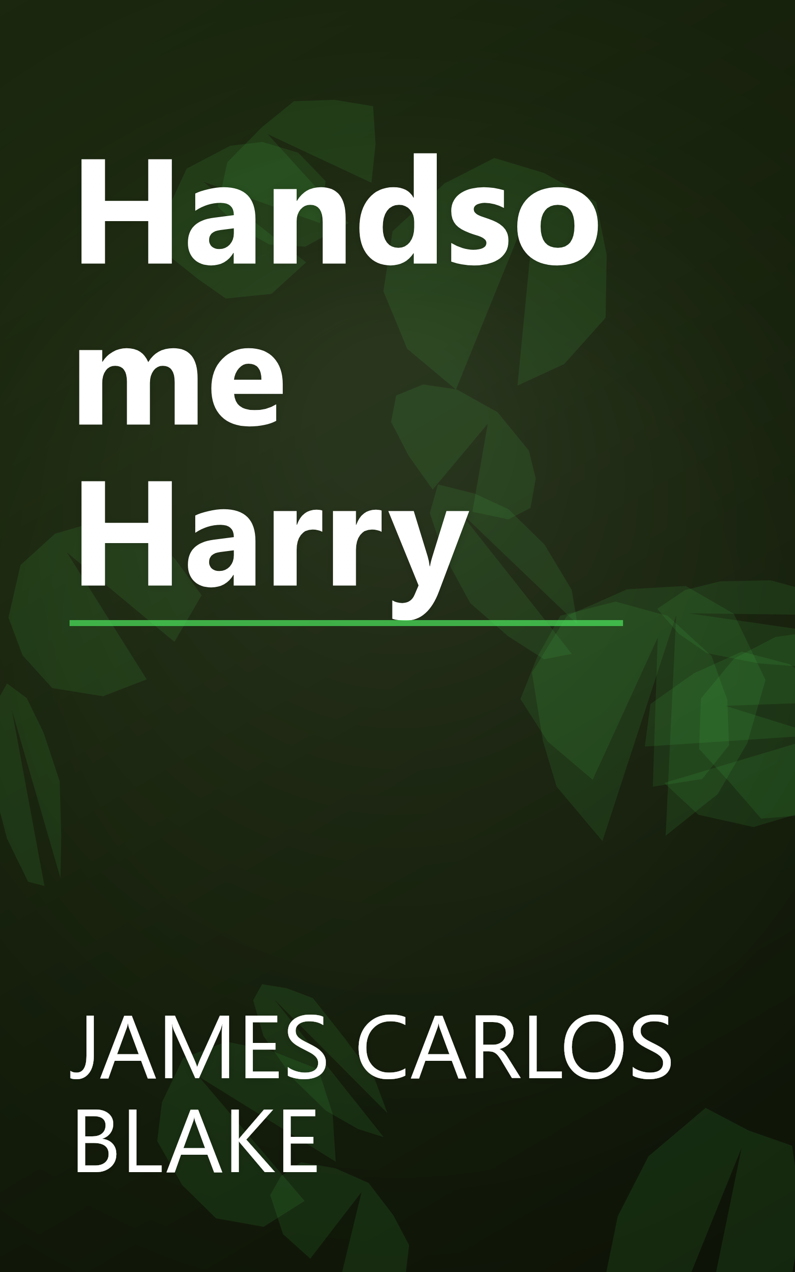 Handsome Harry book cover