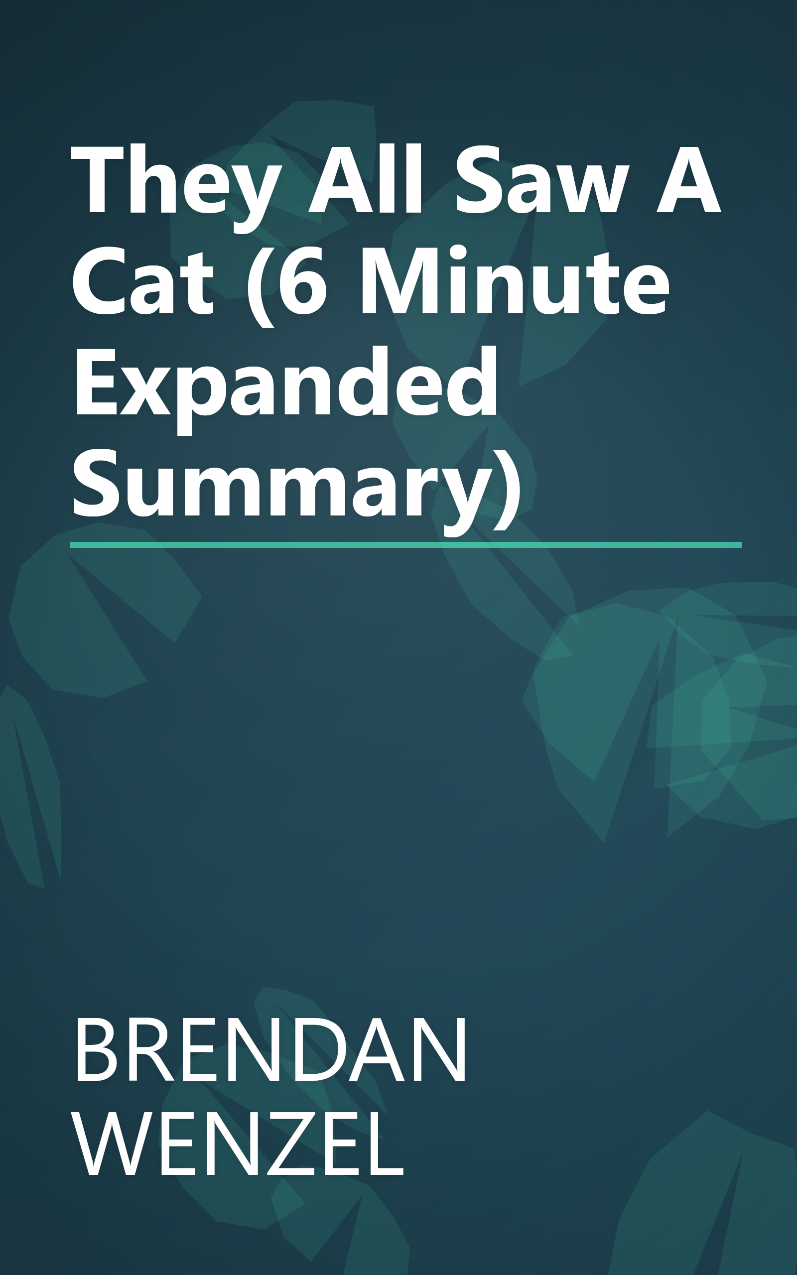 They All Saw A Cat (6 Minute   Expanded Summary) book cover