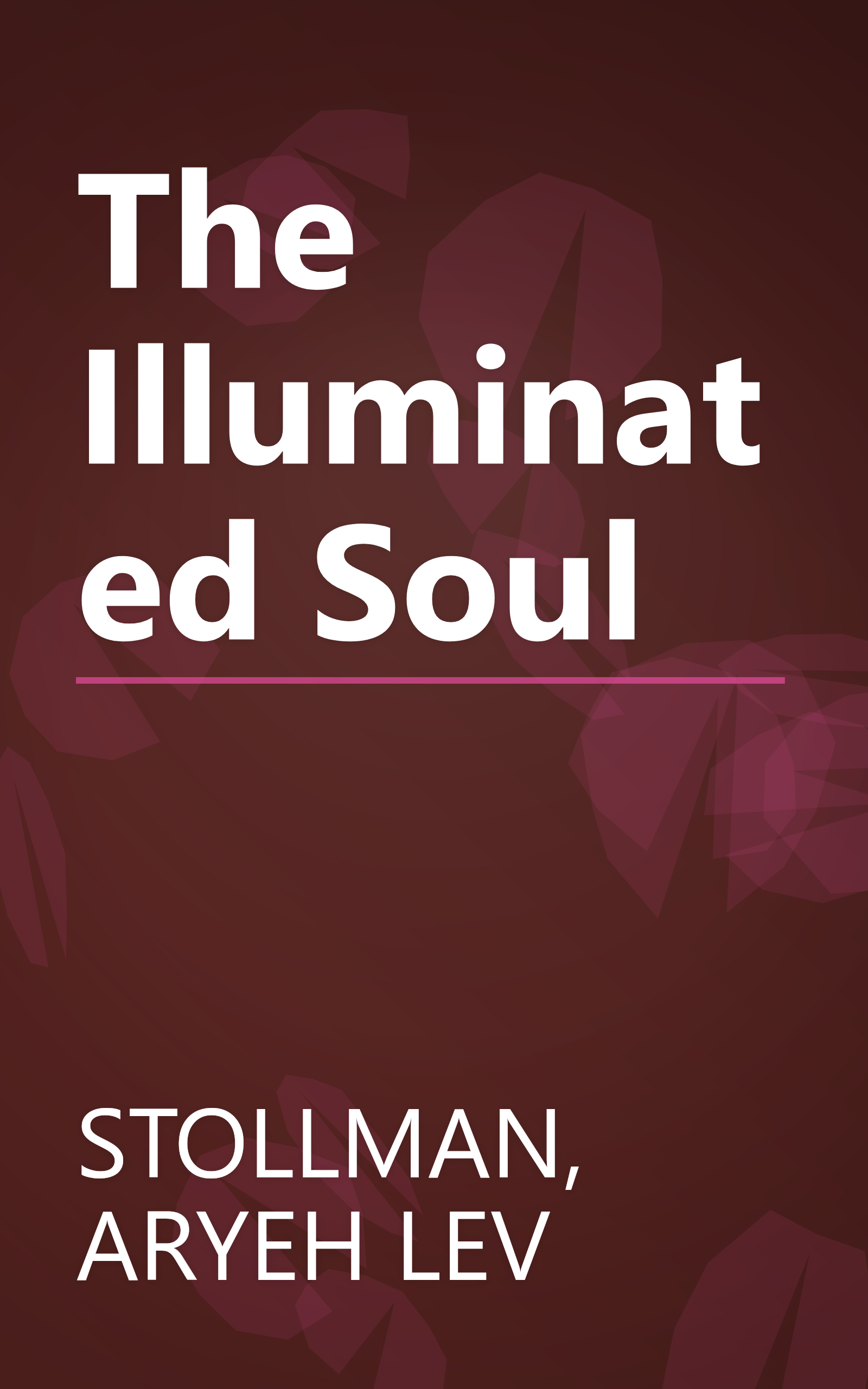 The Illuminated Soul book cover