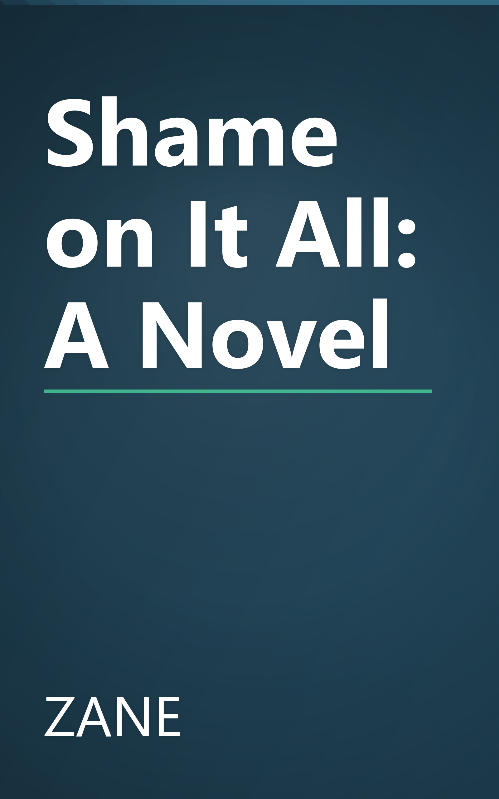 Shame on It All: A Novel book cover