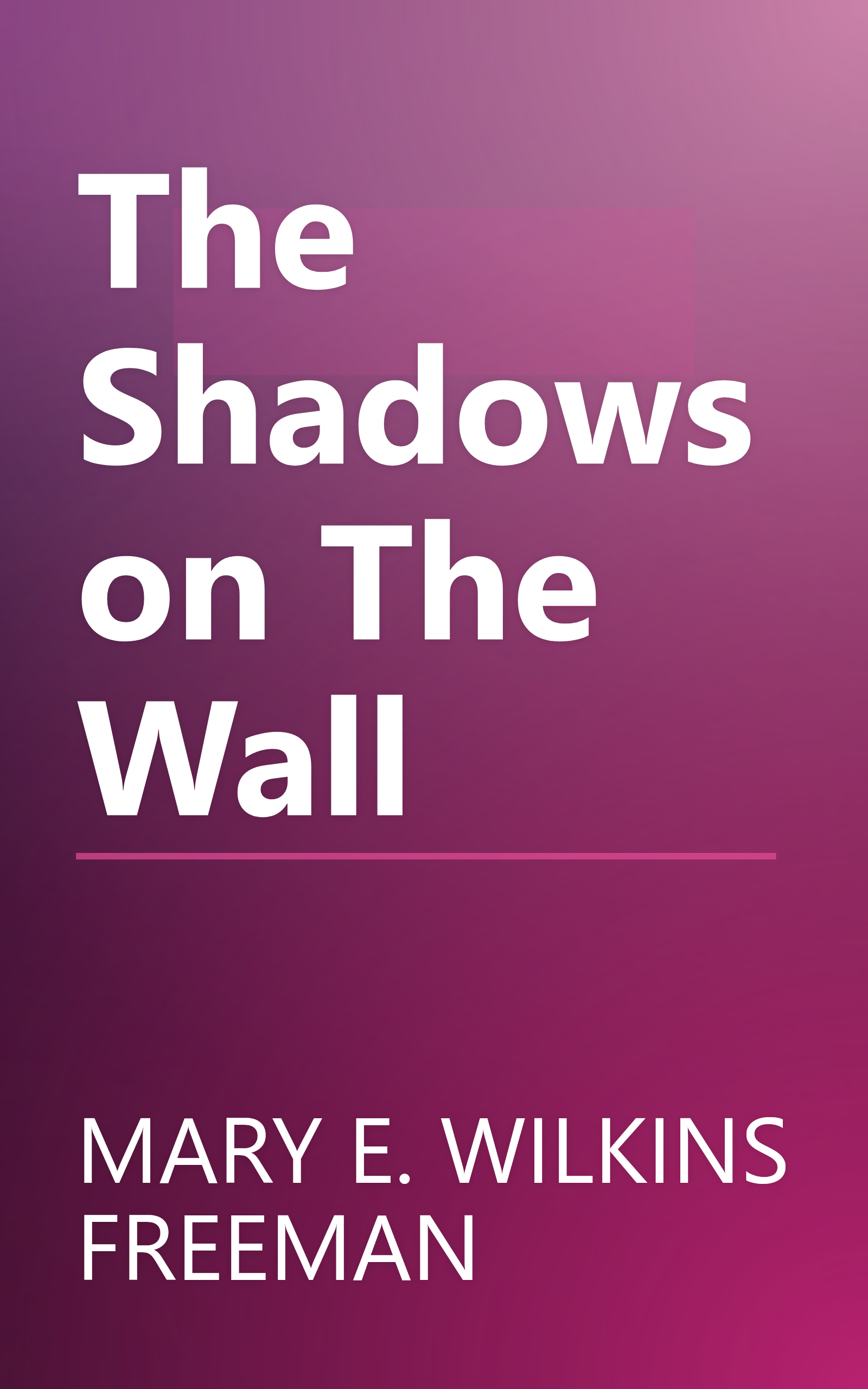 The Shadows on The Wall book cover