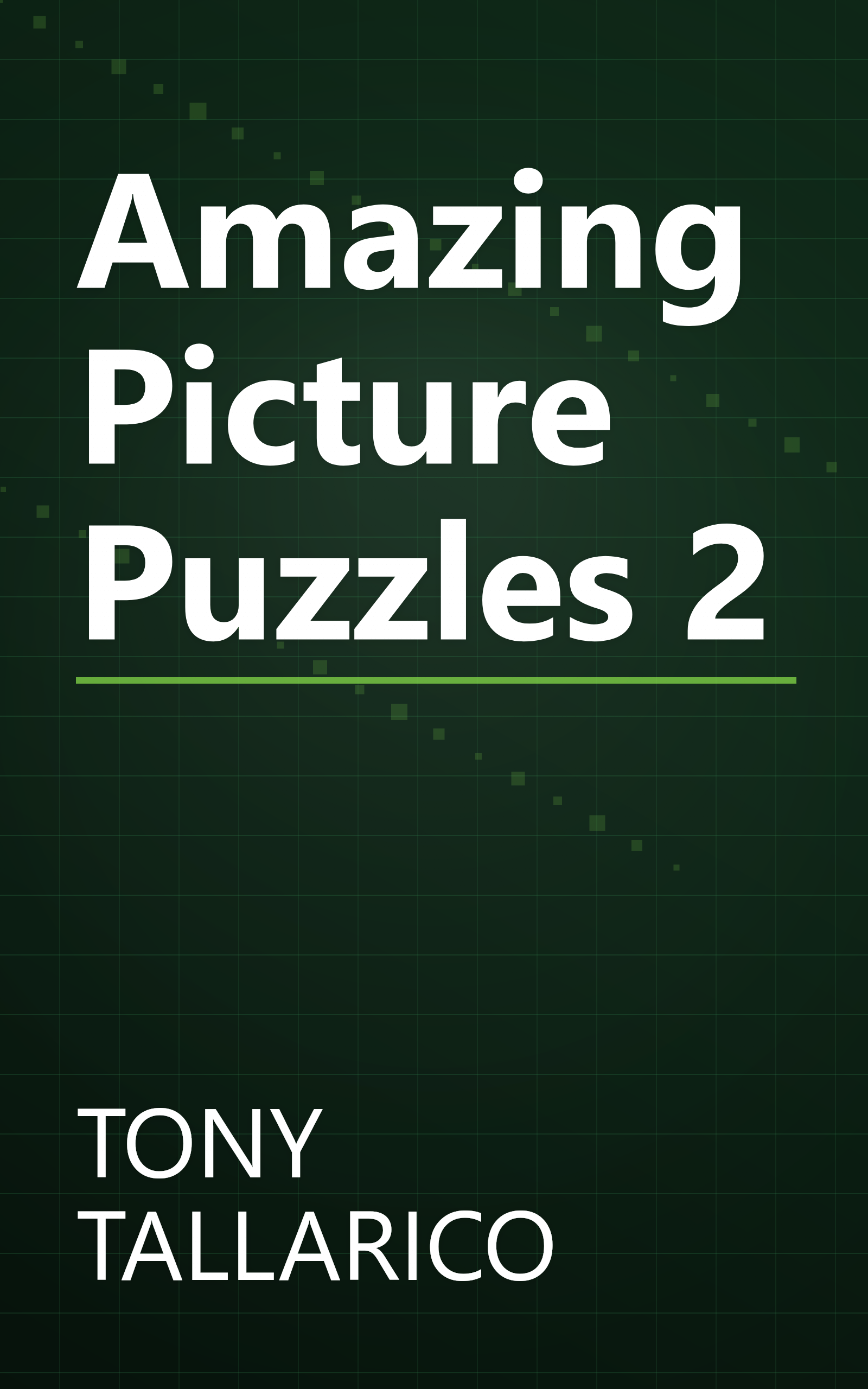 Amazing Picture Puzzles 2 book cover