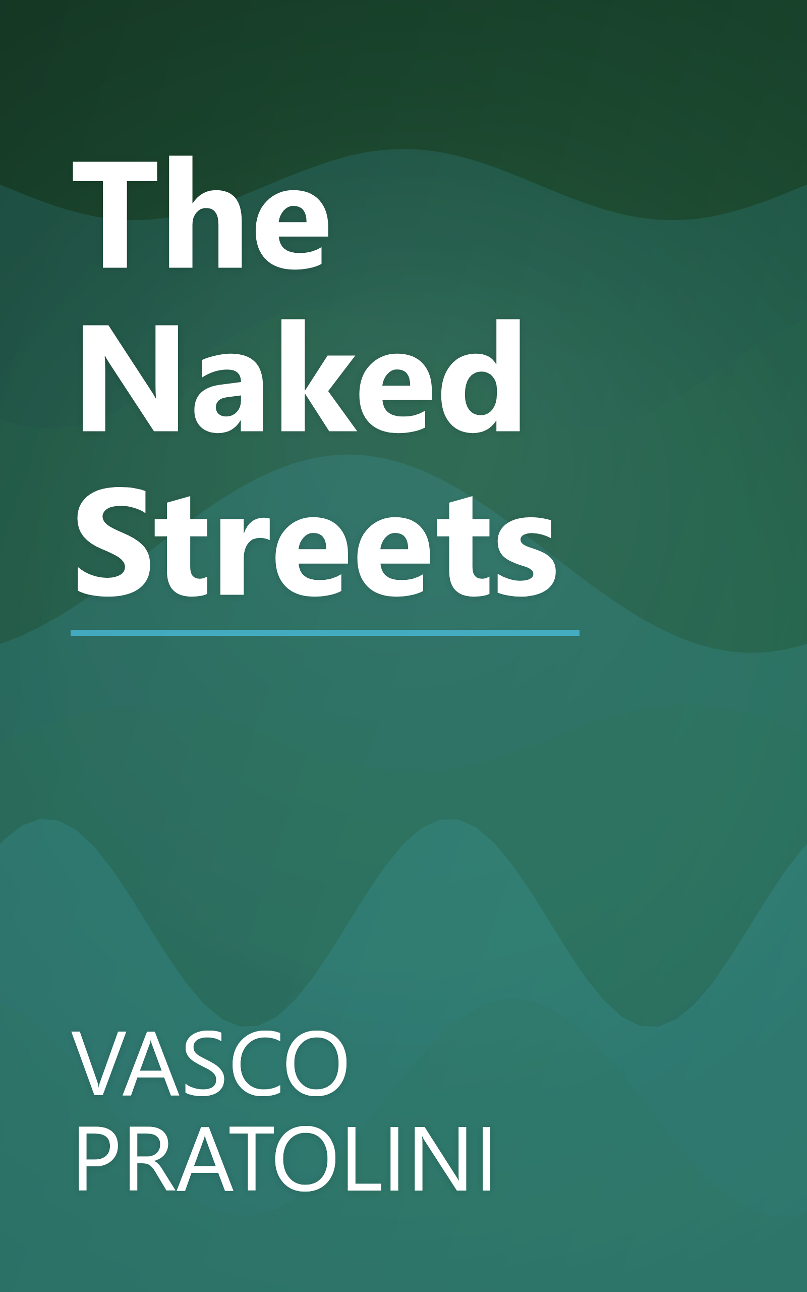The Naked Streets book cover