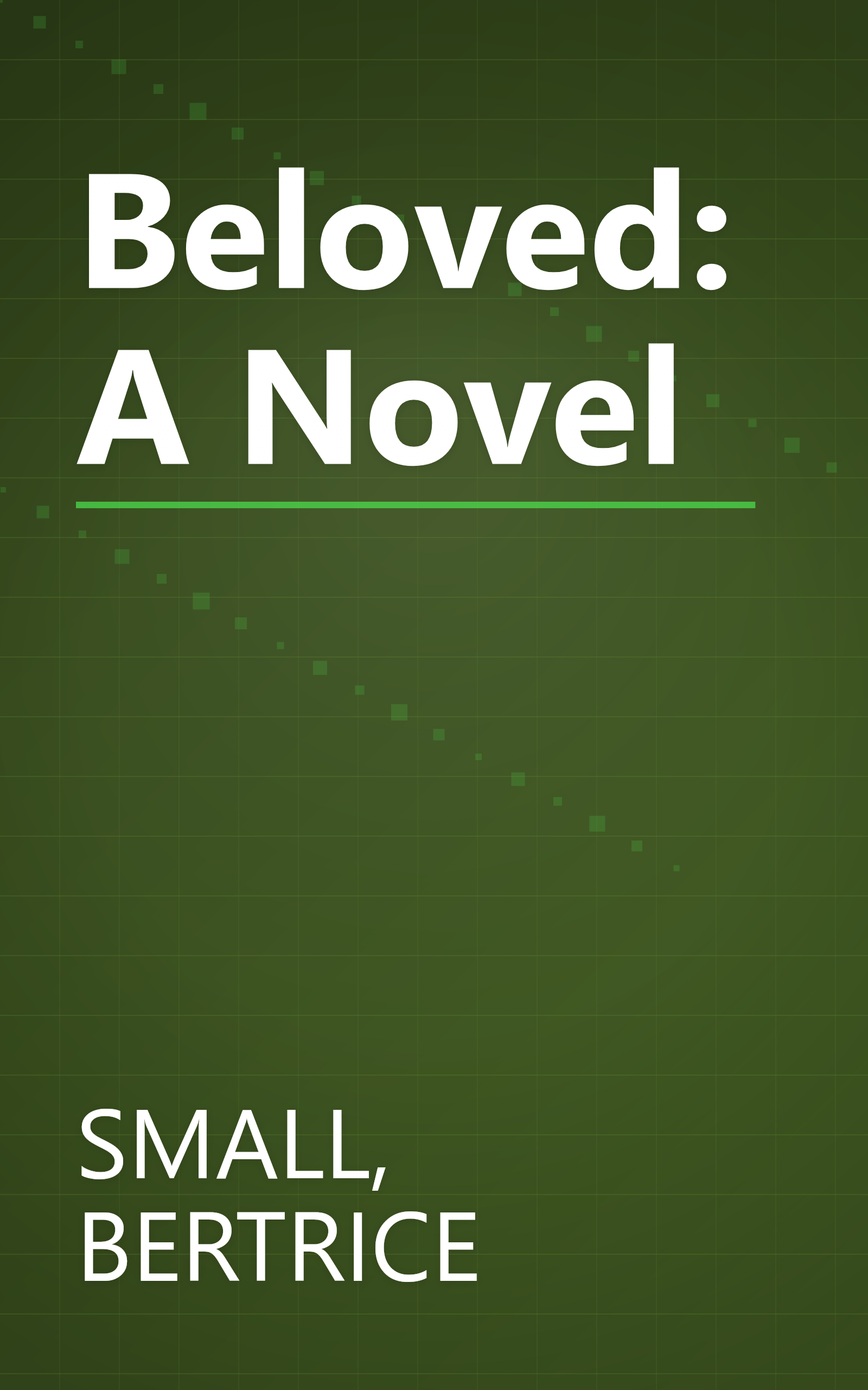 Beloved: A Novel book cover