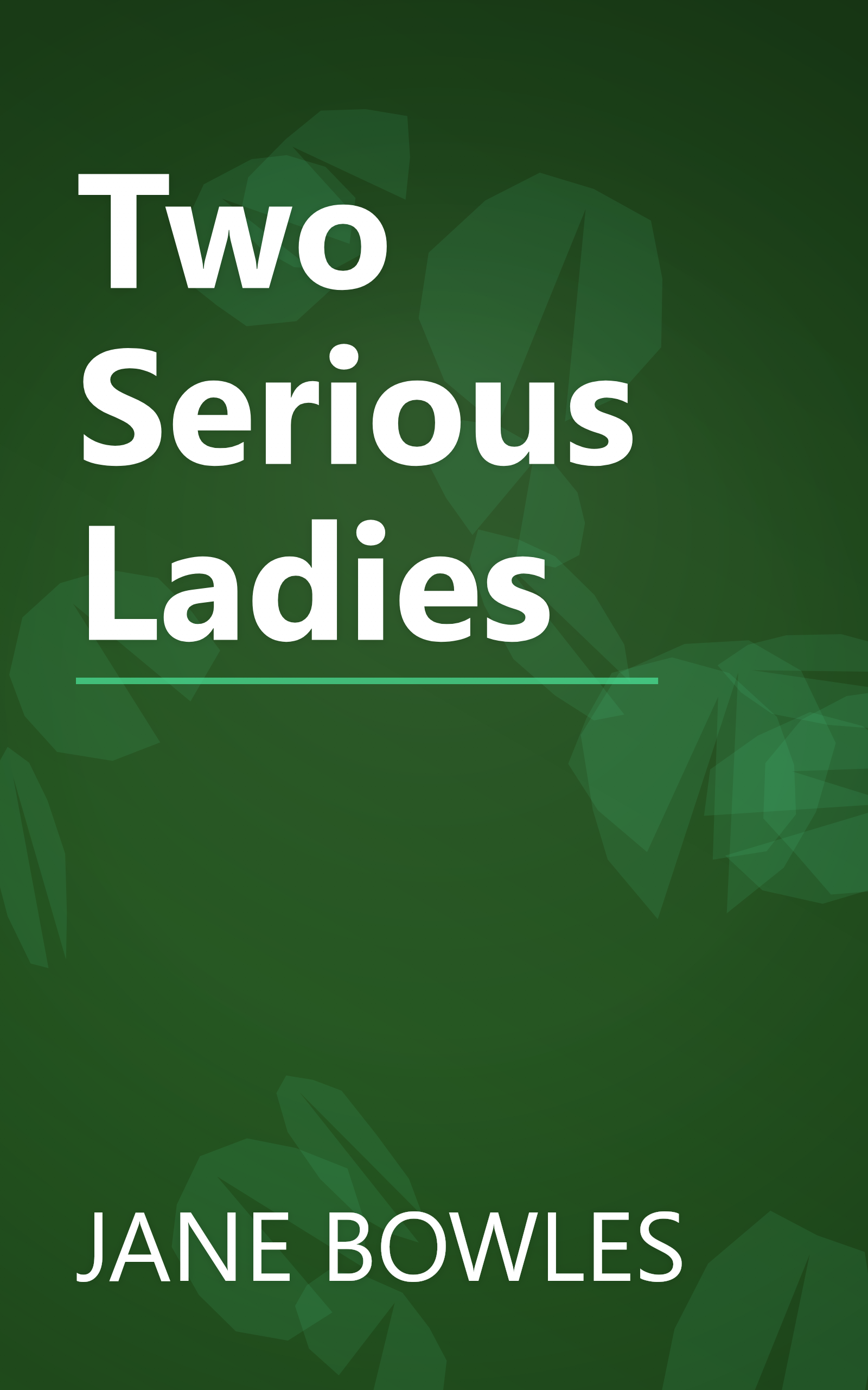 Two Serious Ladies book cover