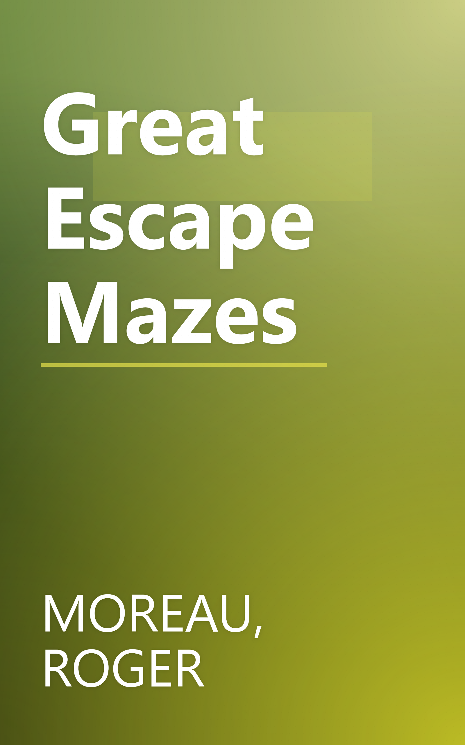 Great Escape Mazes book cover