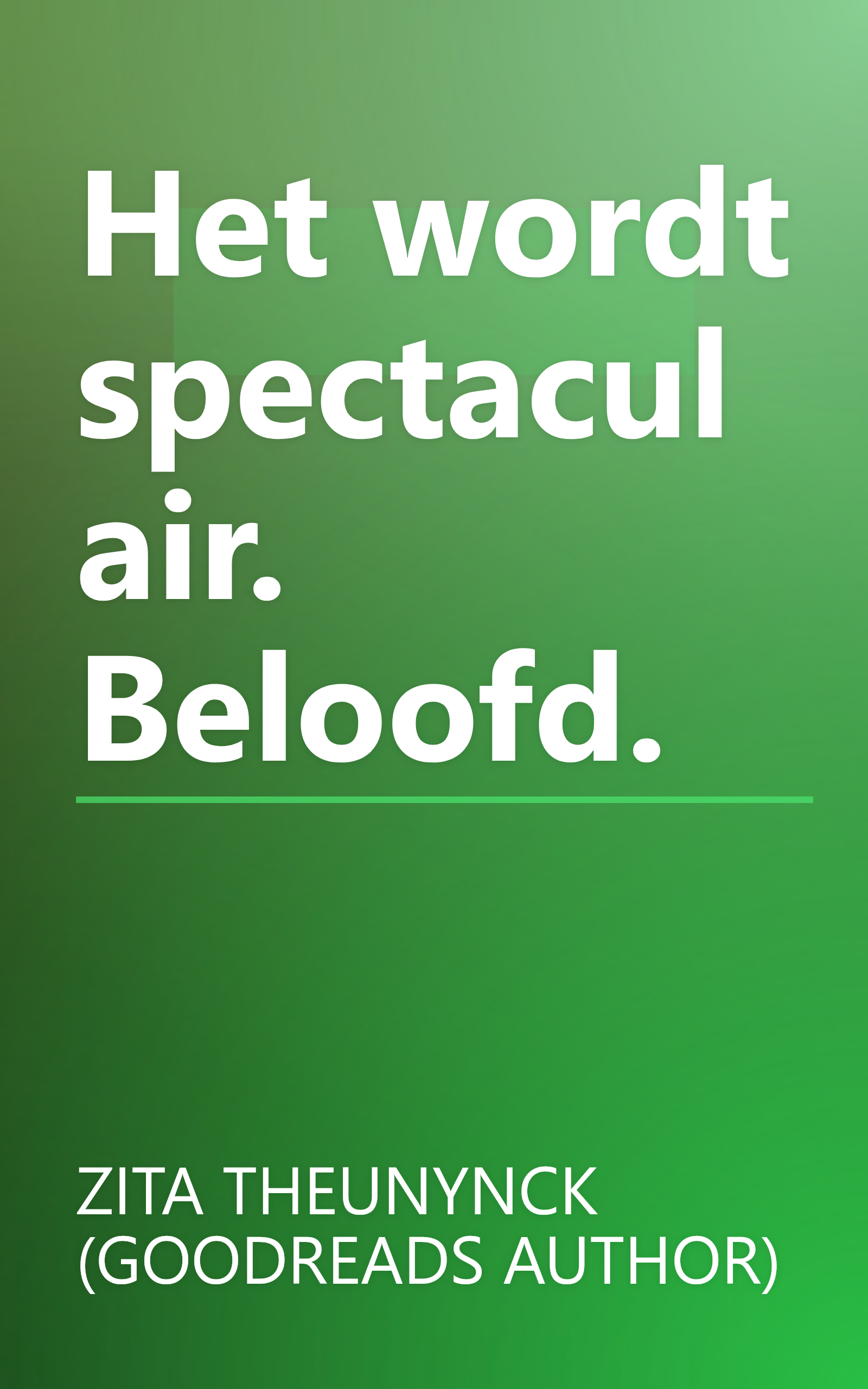 Het wordt spectaculair. Beloofd. book cover