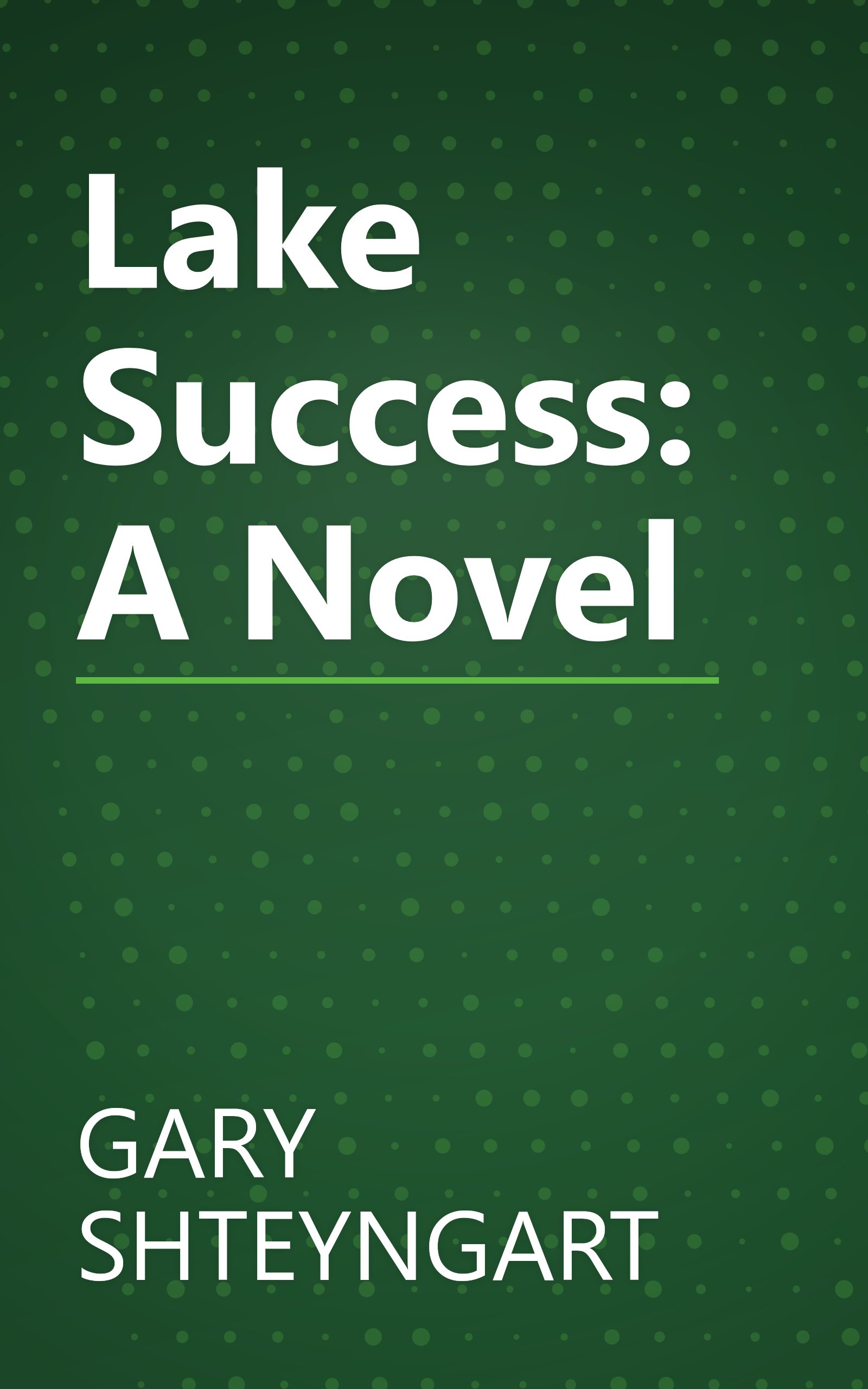 Lake Success: A Novel book cover