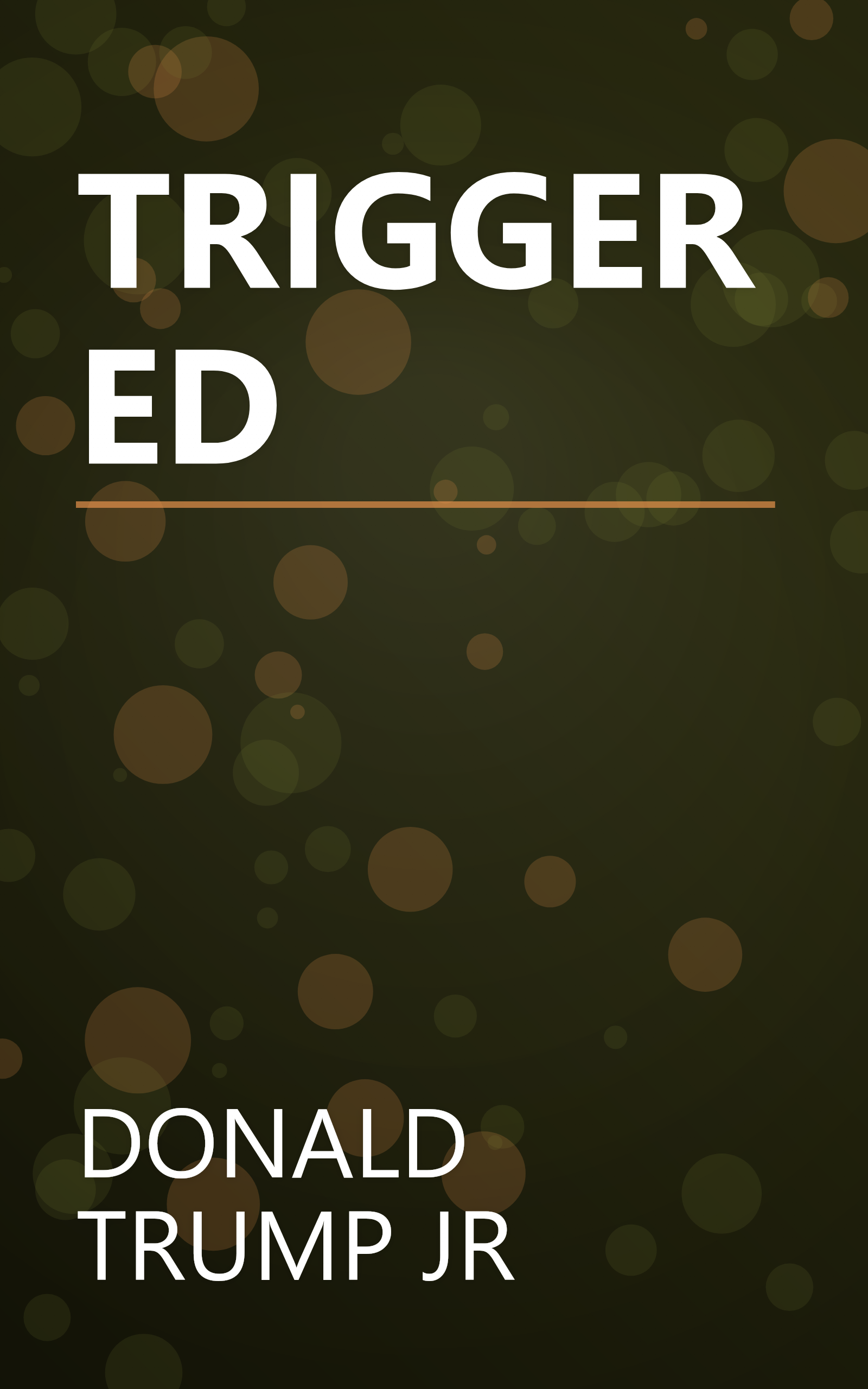 TRIGGERED book cover