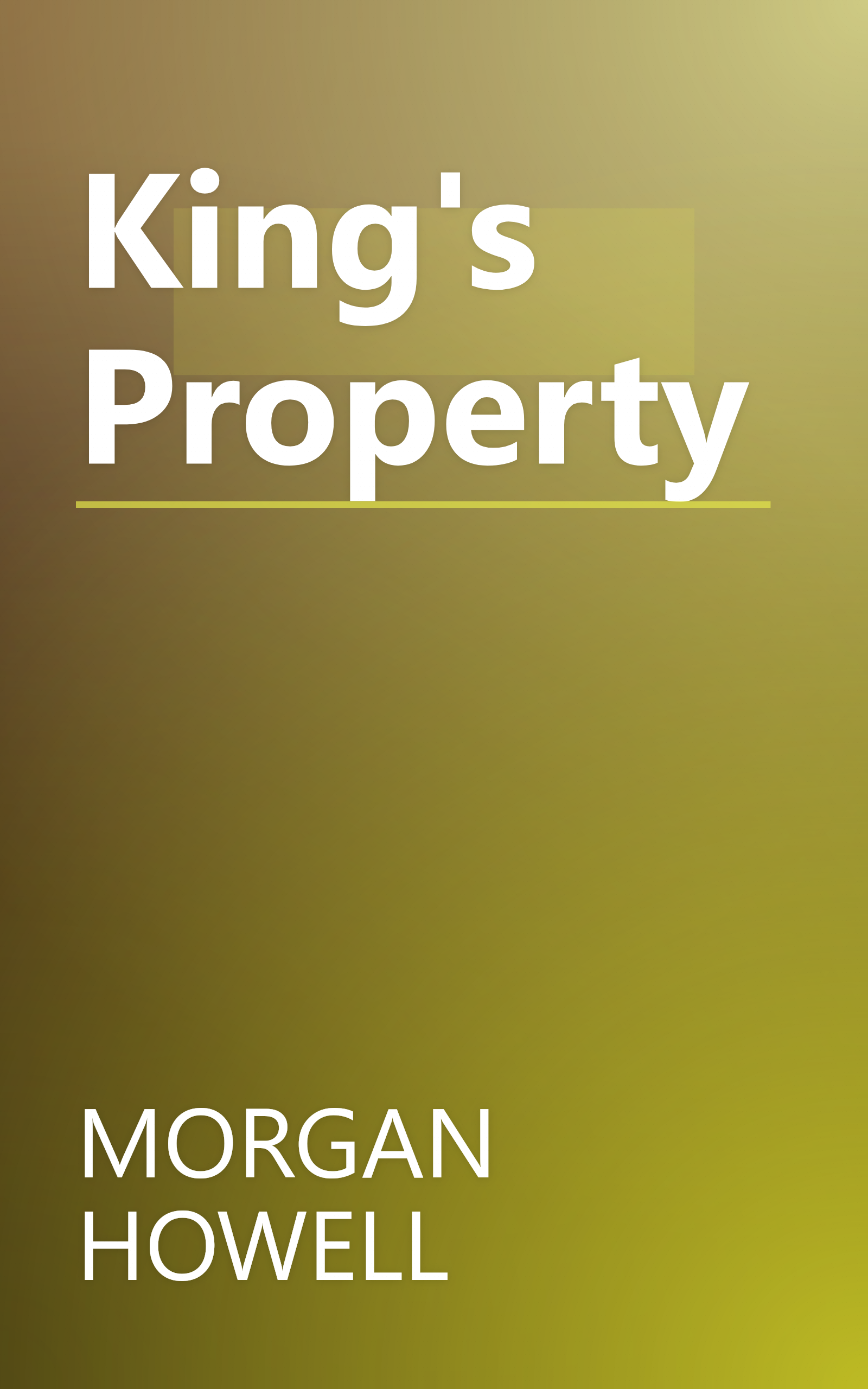 King's Property book cover