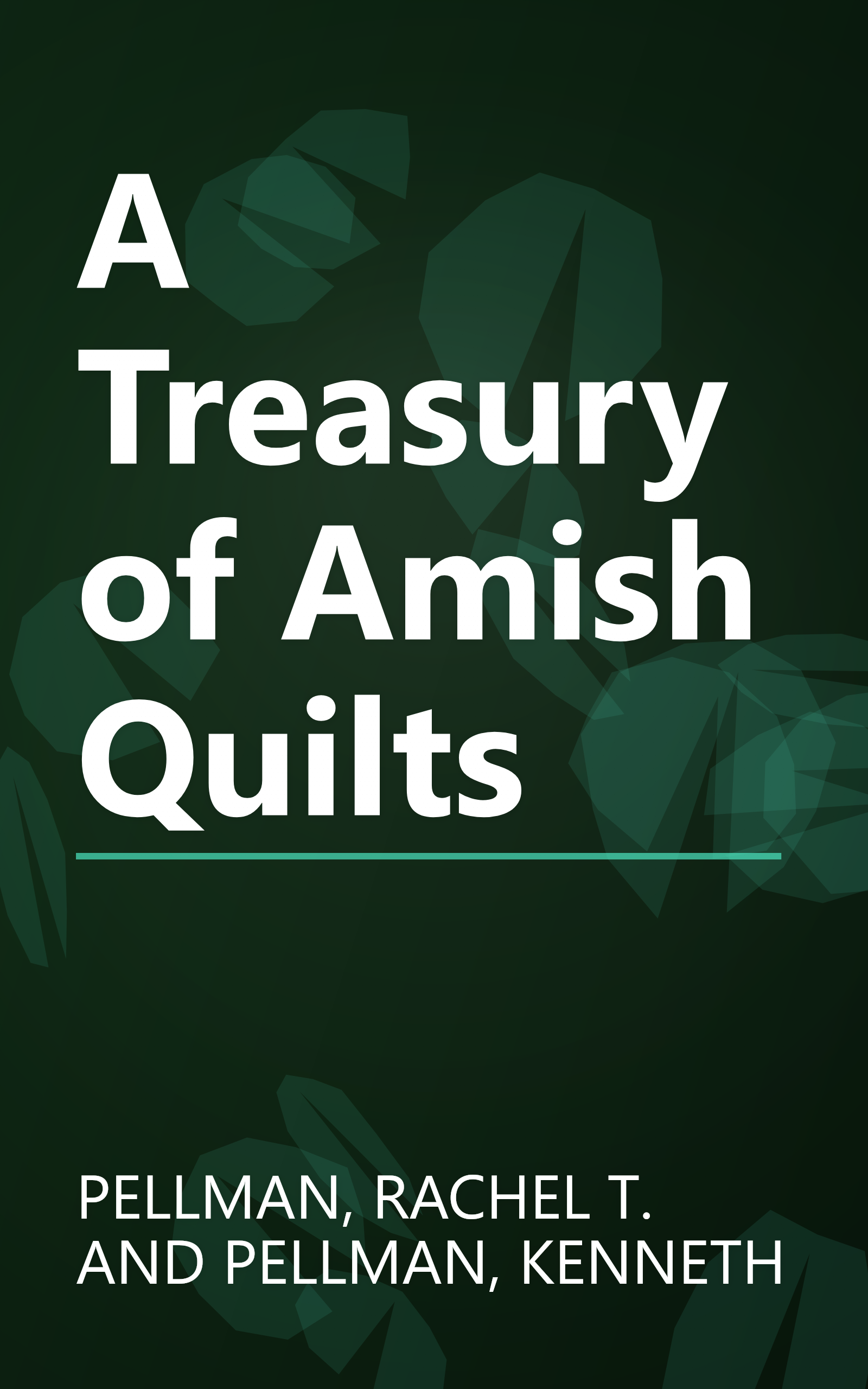 A Treasury of Amish Quilts book cover