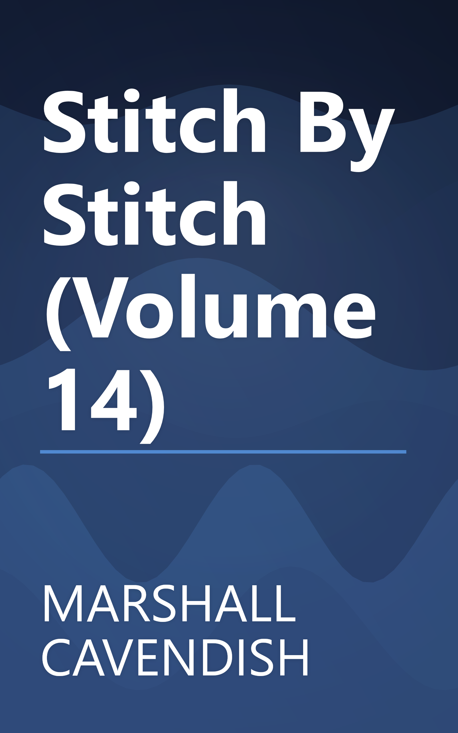 Stitch By Stitch (Volume 14) book cover