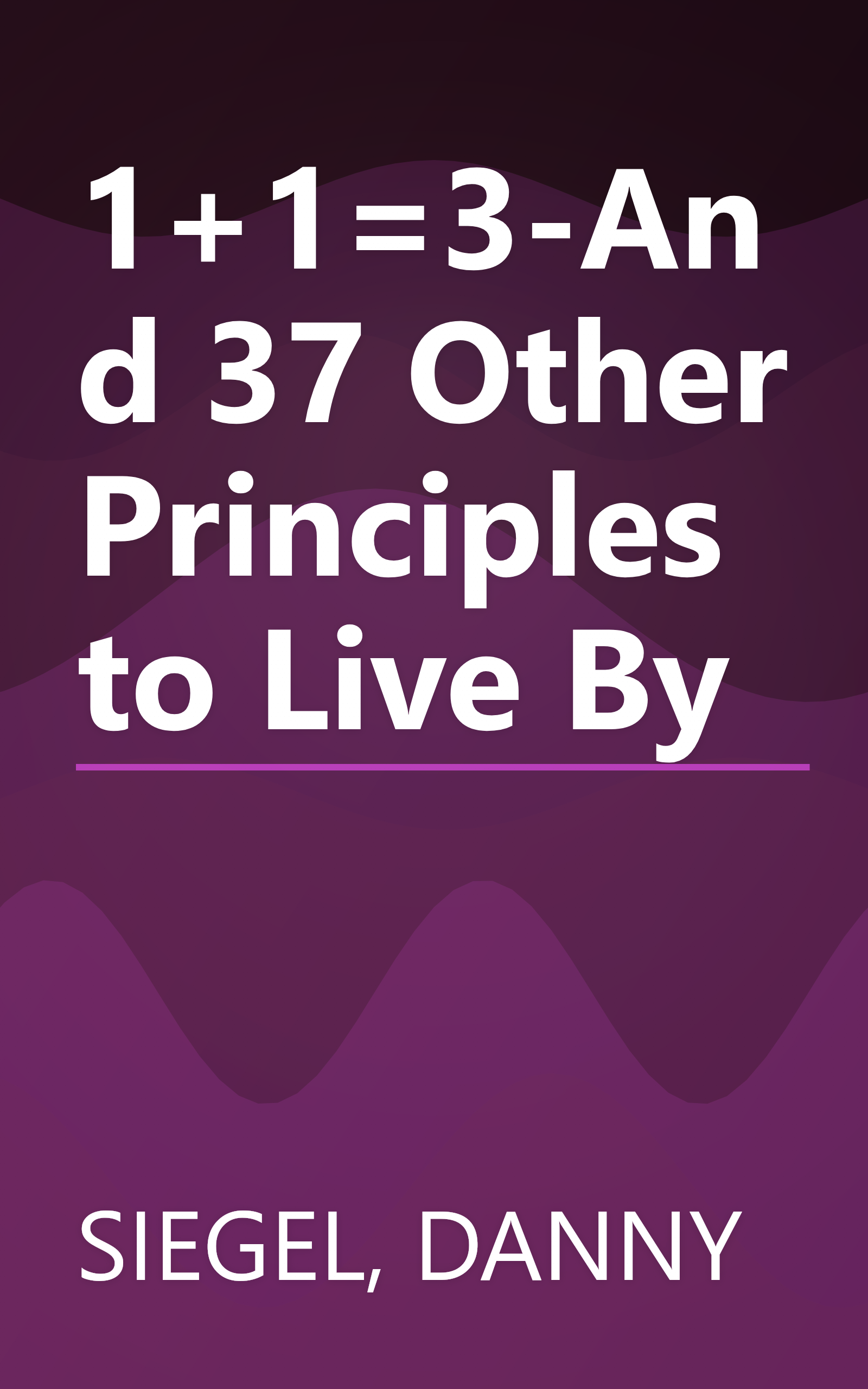 1+1=3-And 37 Other Principles to Live By book cover