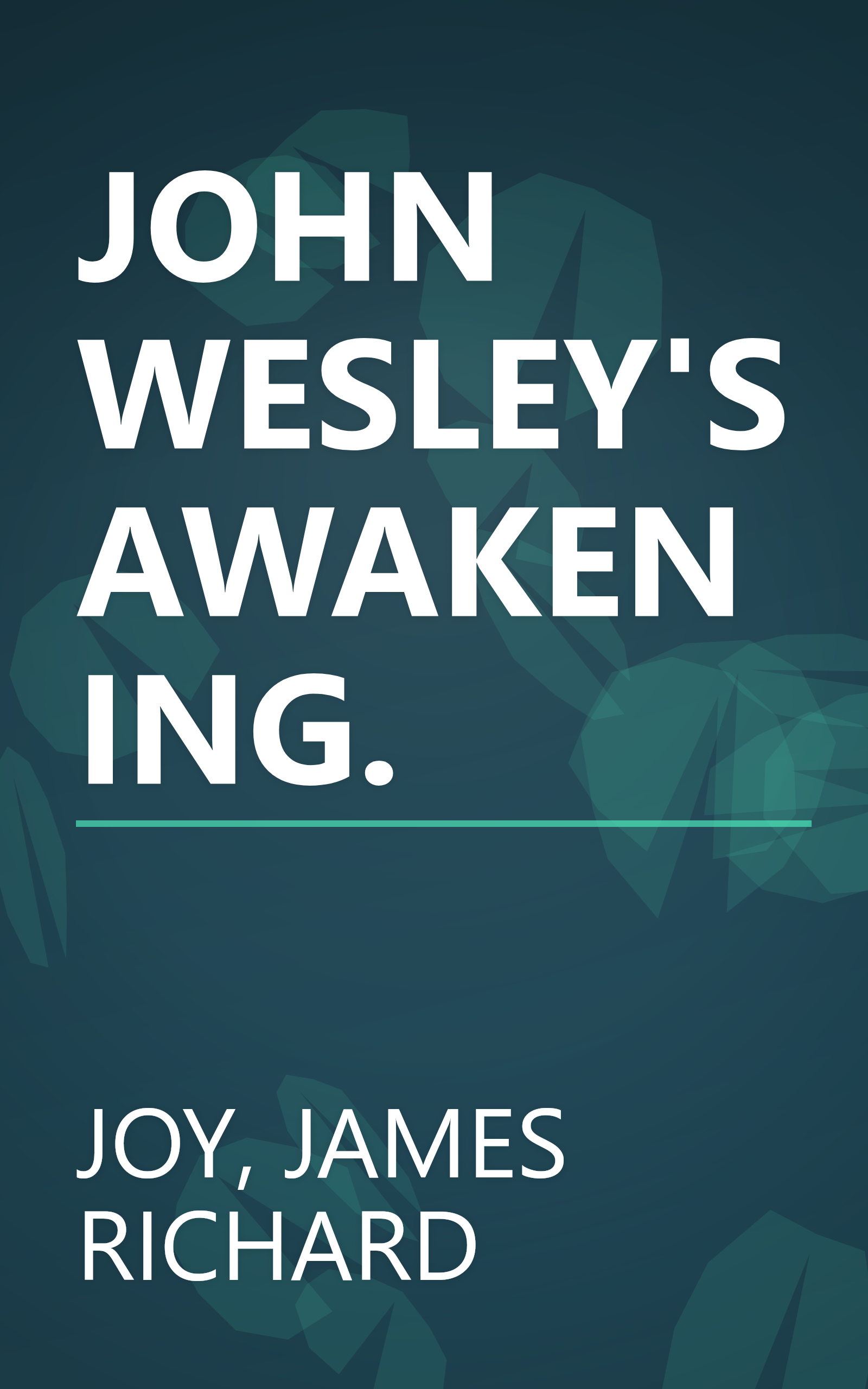 JOHN WESLEY'S AWAKENING. book cover