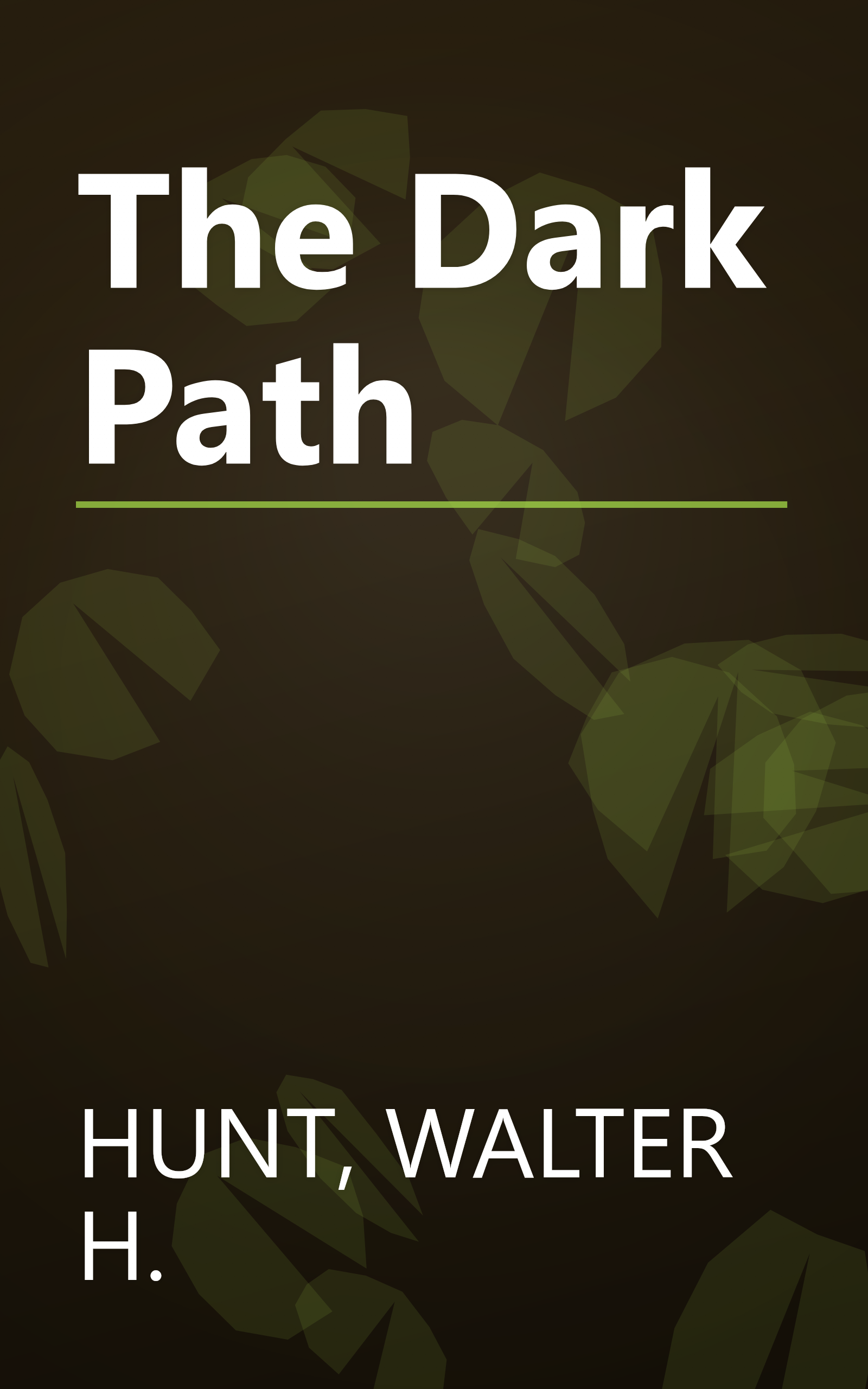 The Dark Path book cover