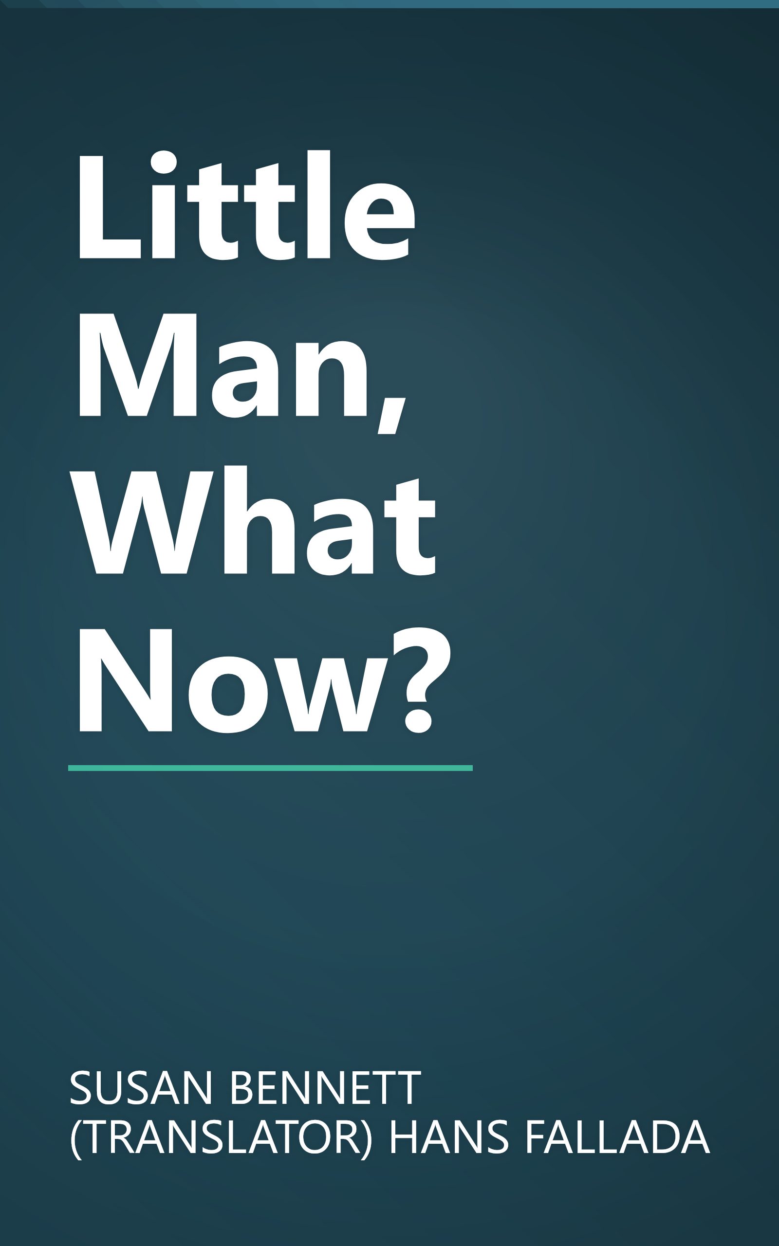 Little Man, What Now? book cover
