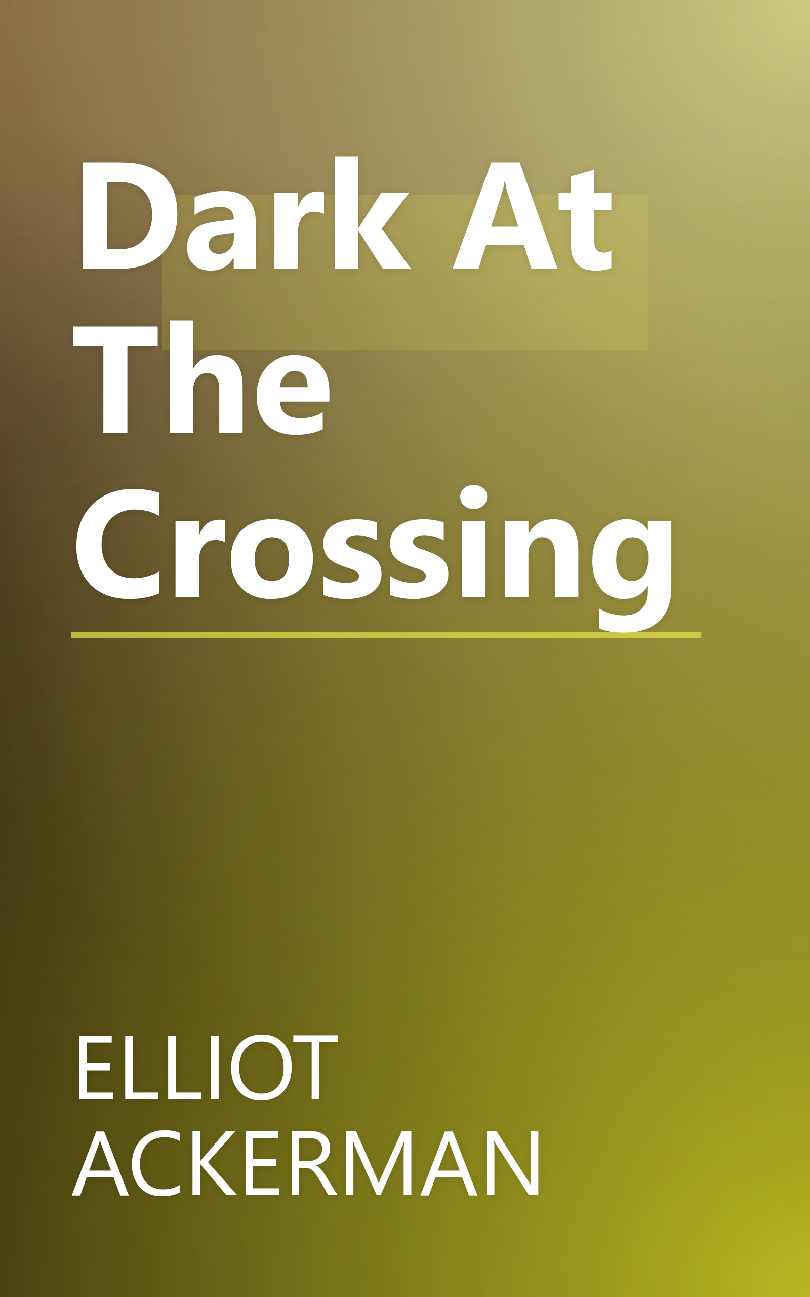 Dark At The Crossing book cover