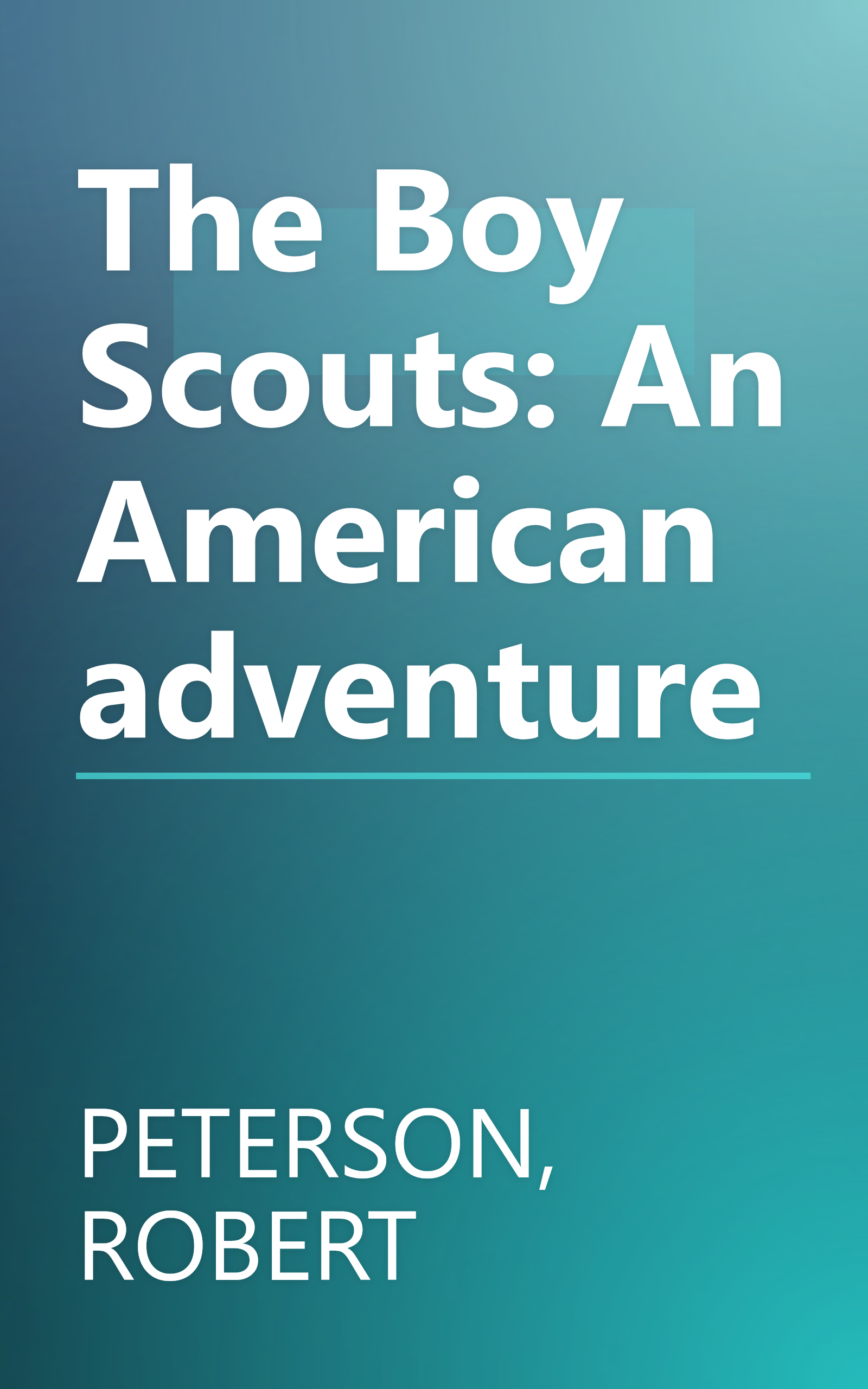 The Boy Scouts: An American adventure book cover