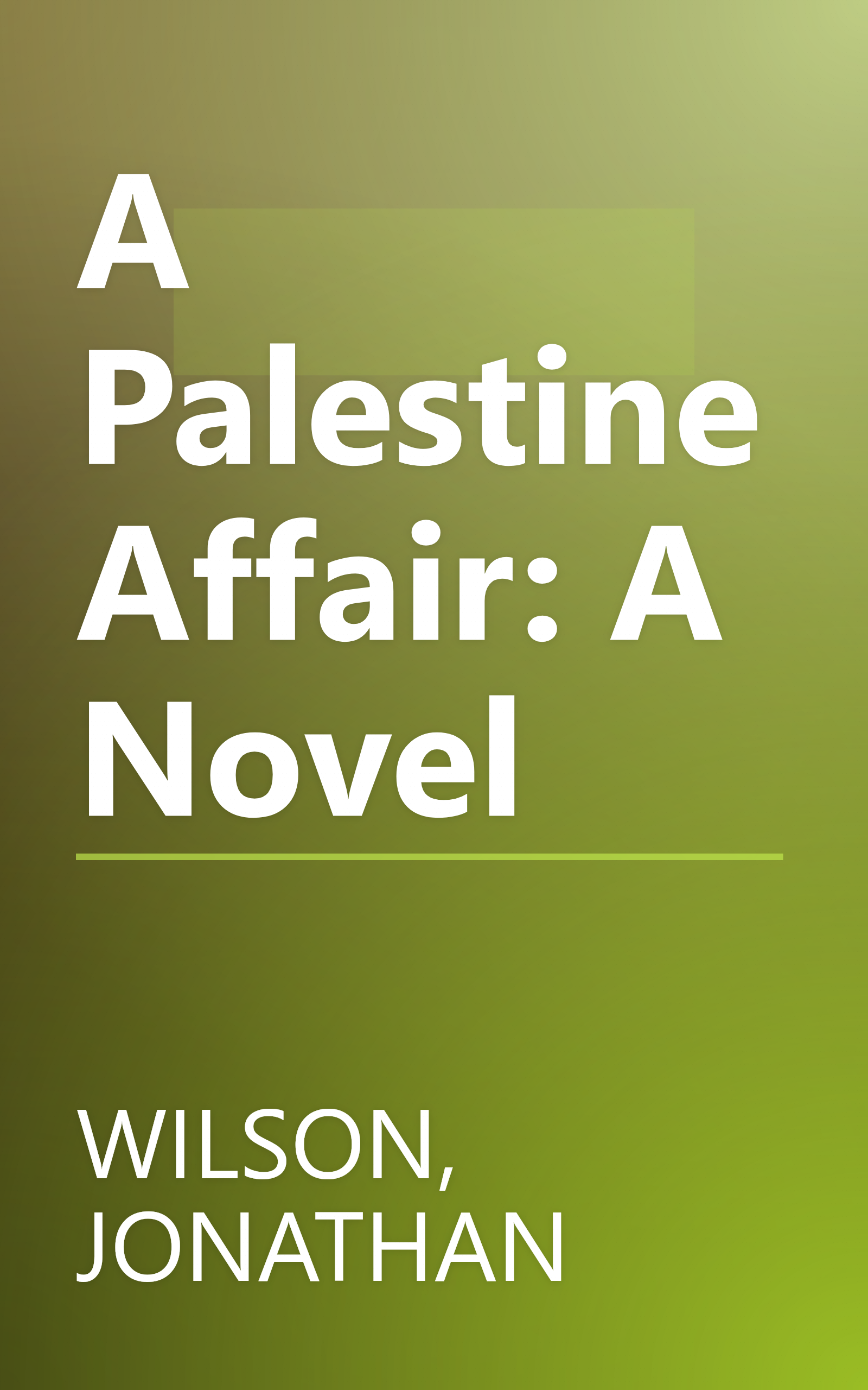 A Palestine Affair: A Novel book cover